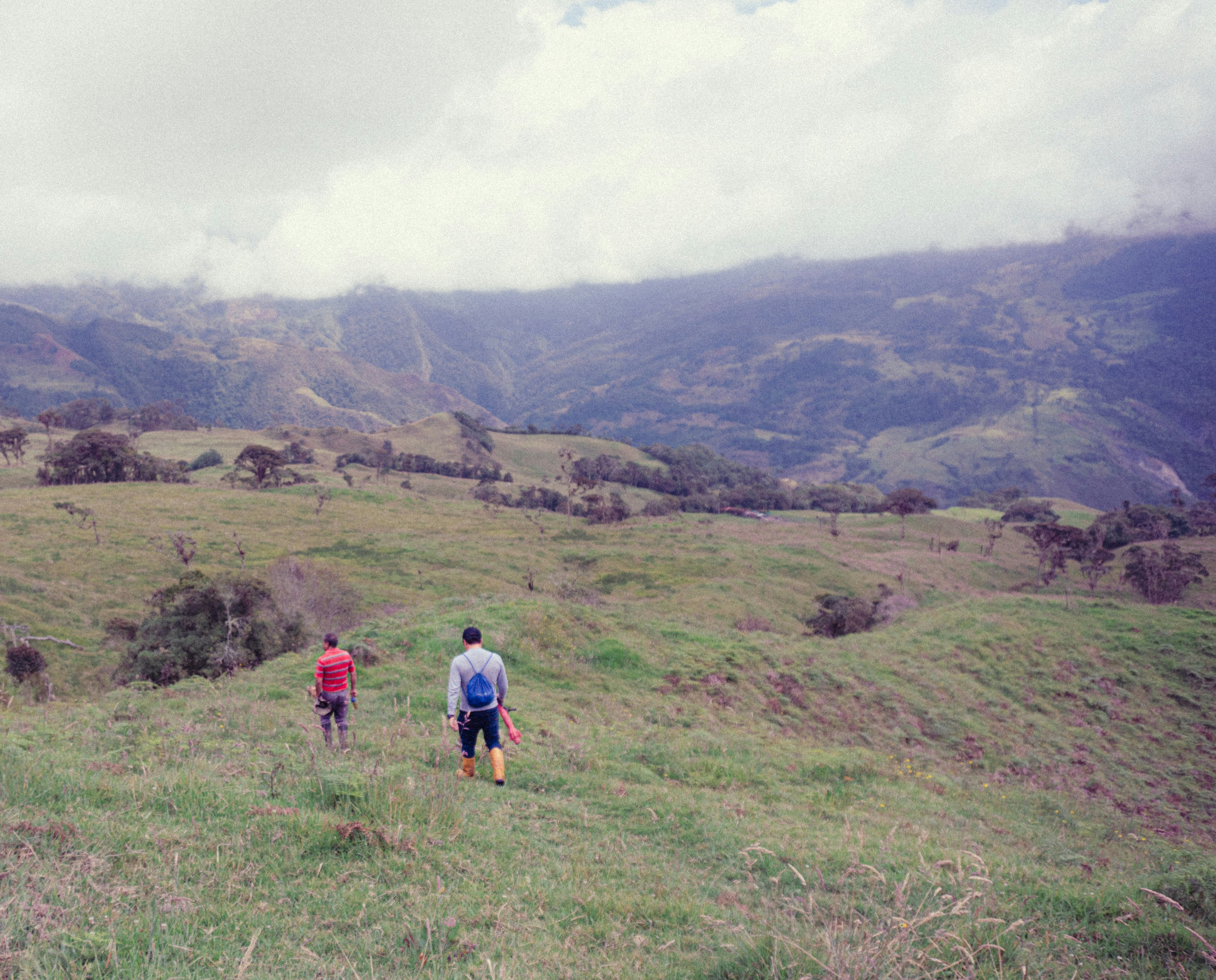 Ridge Walk: Two hikers trek a green hillside toward a cloud-washed valley