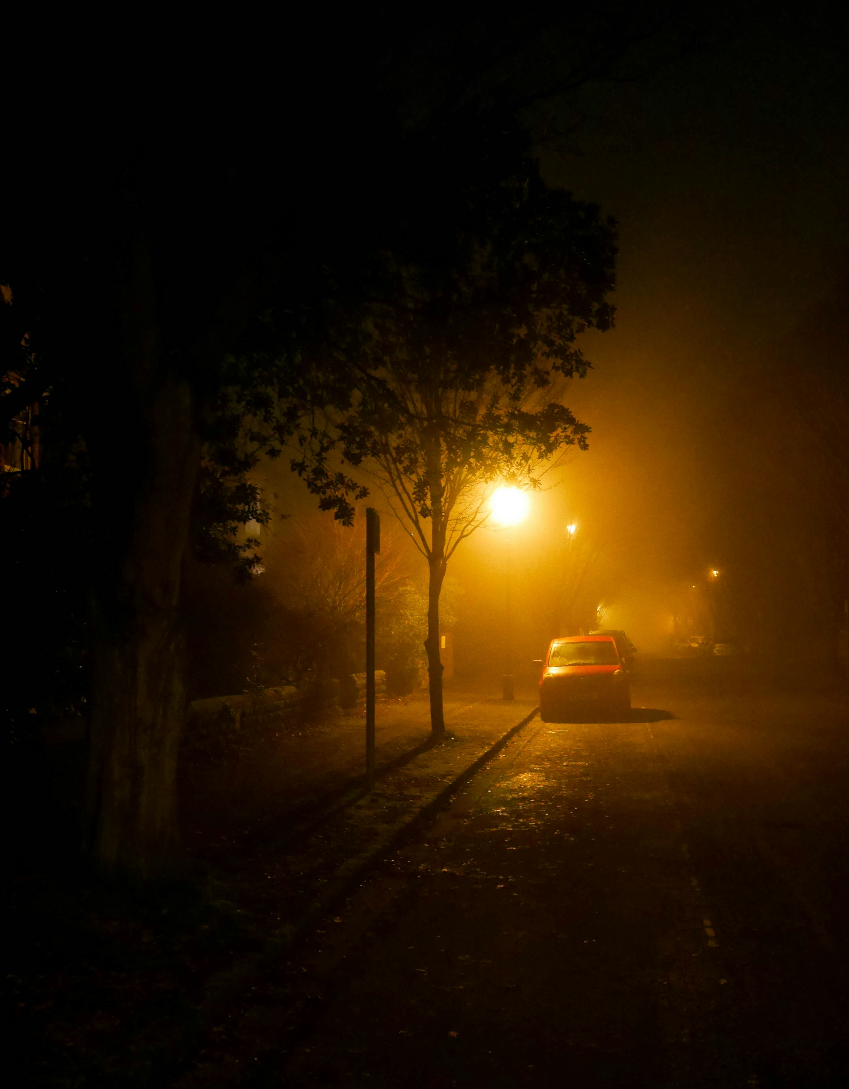 A solitary red car parked under a dim streetlight on a foggy night, surrounded by shadowy trees and a mysterious atmosphere.