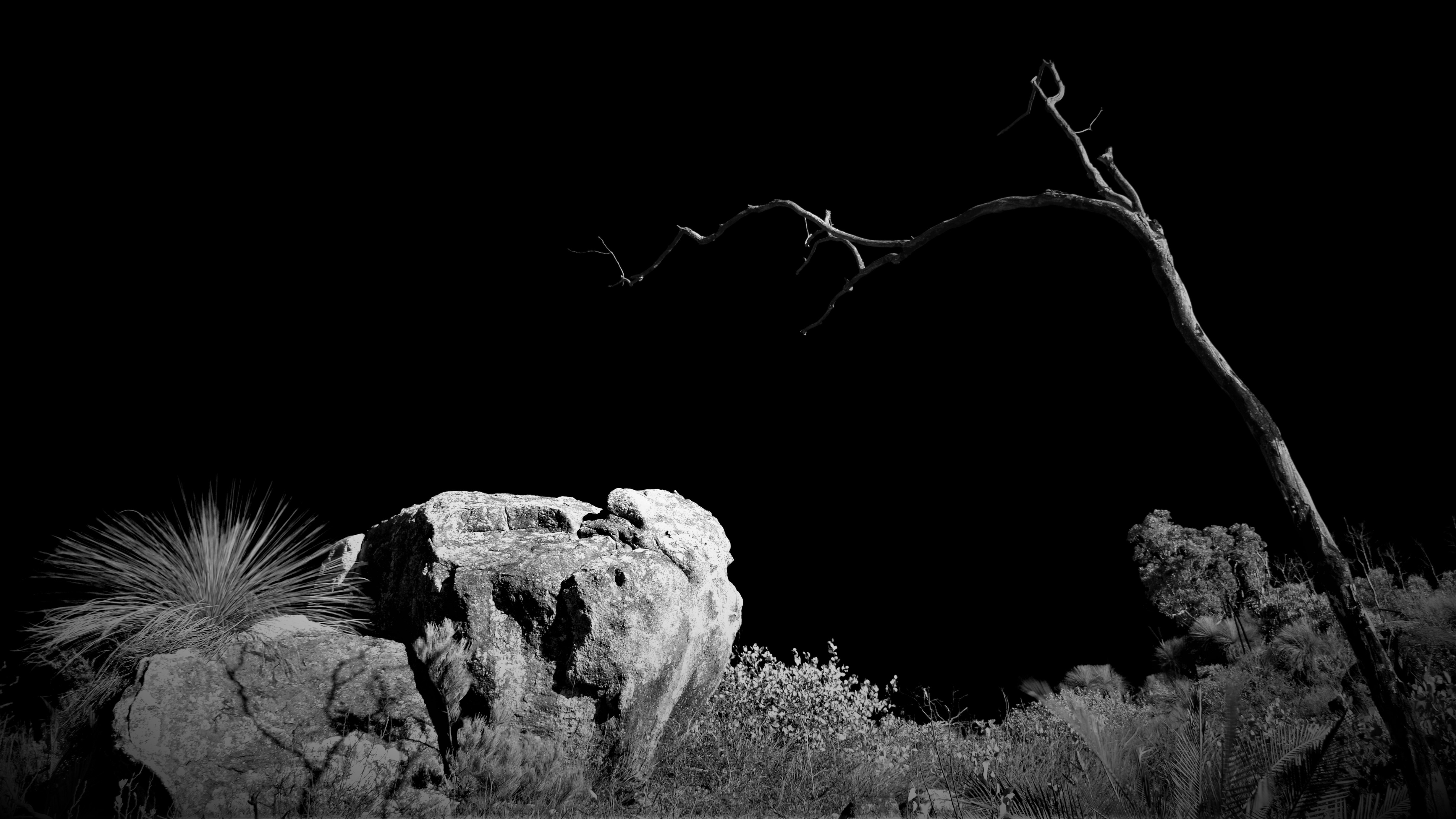 Desert Night Silhouette: Weathered Rock Outcrop and Bent Tree