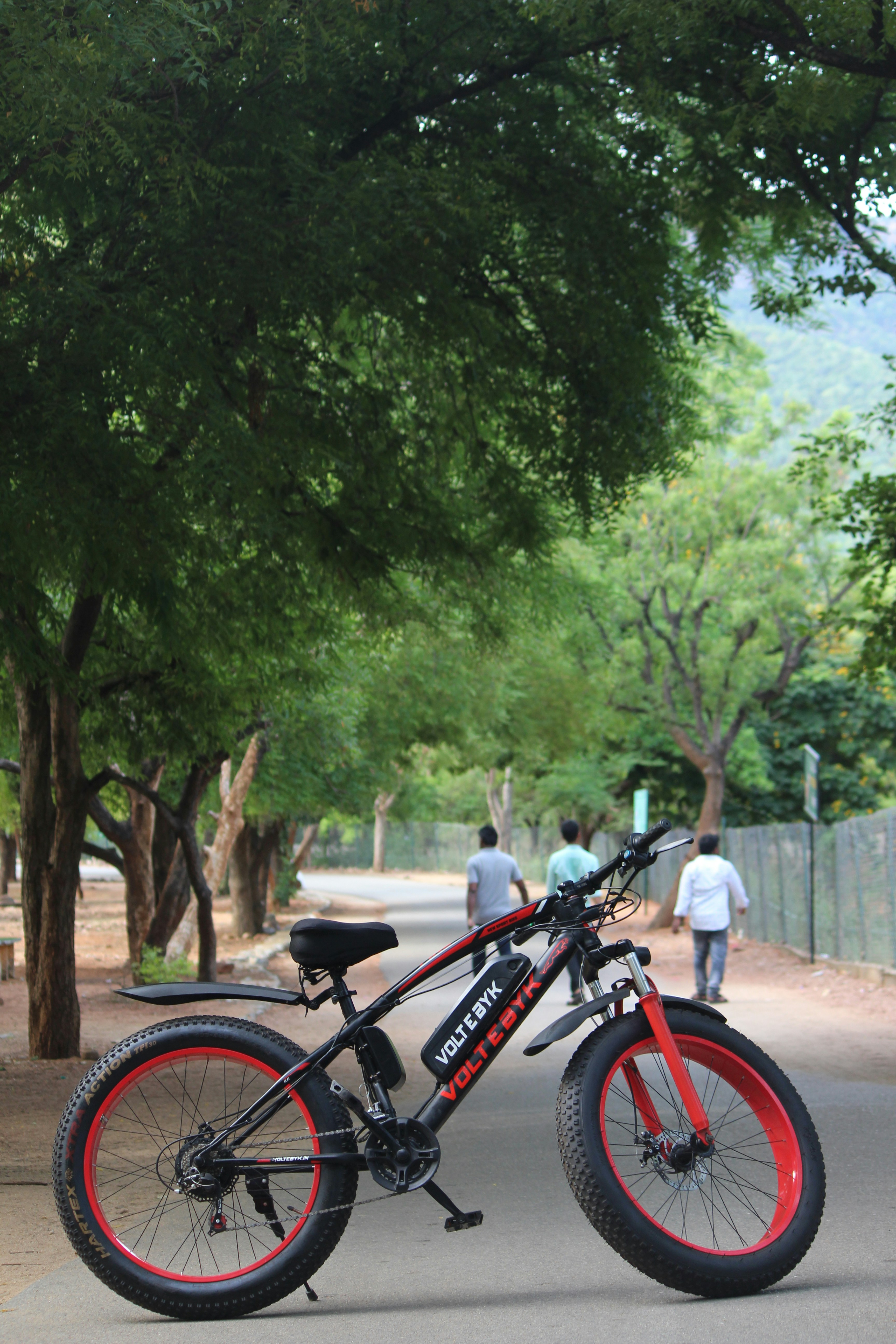 Voltbike Under a Lush Canopy on a Quiet Park Path
