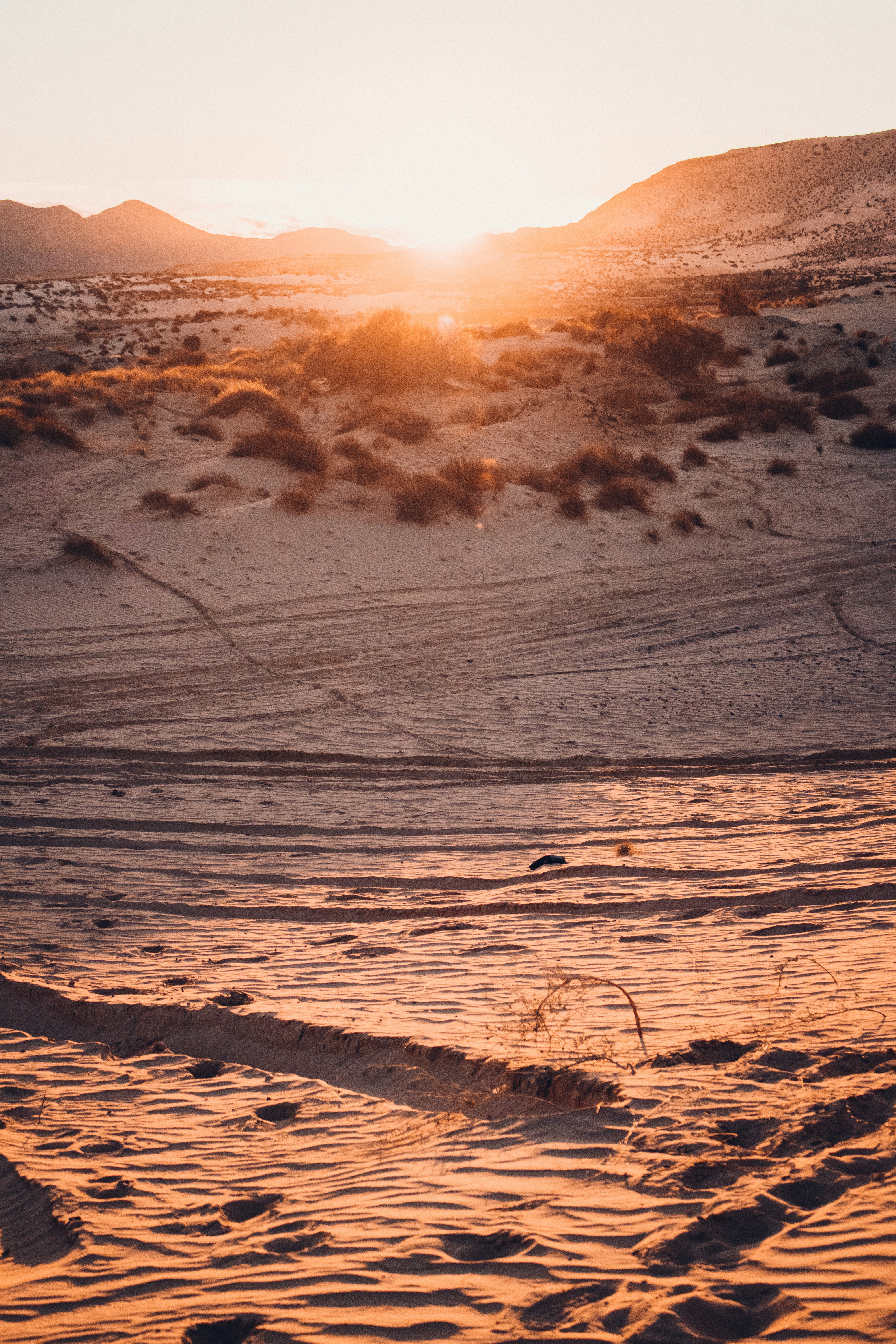 Whispering Dunes at Golden Hour
