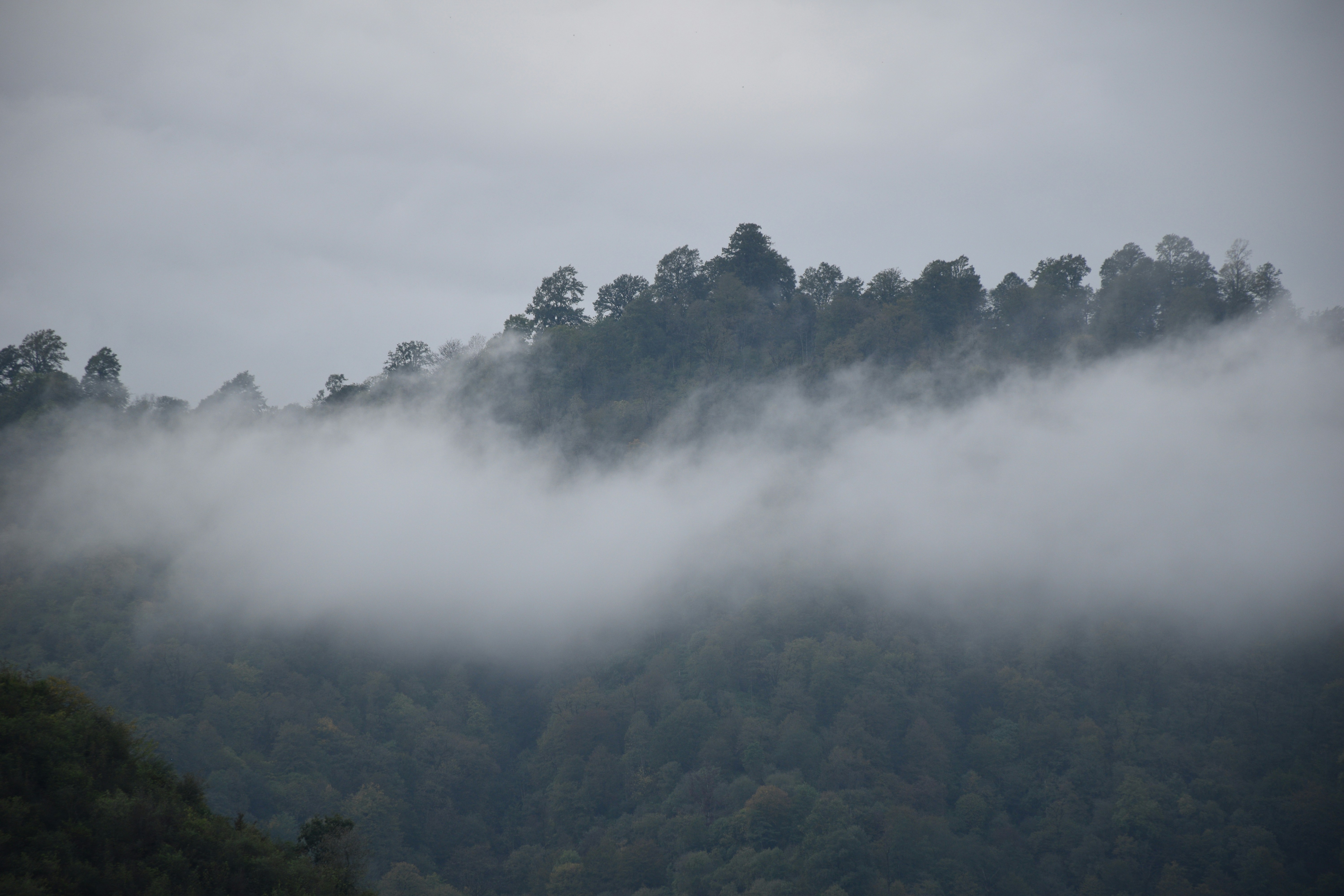 a mountain covered in fog and low lying clouds