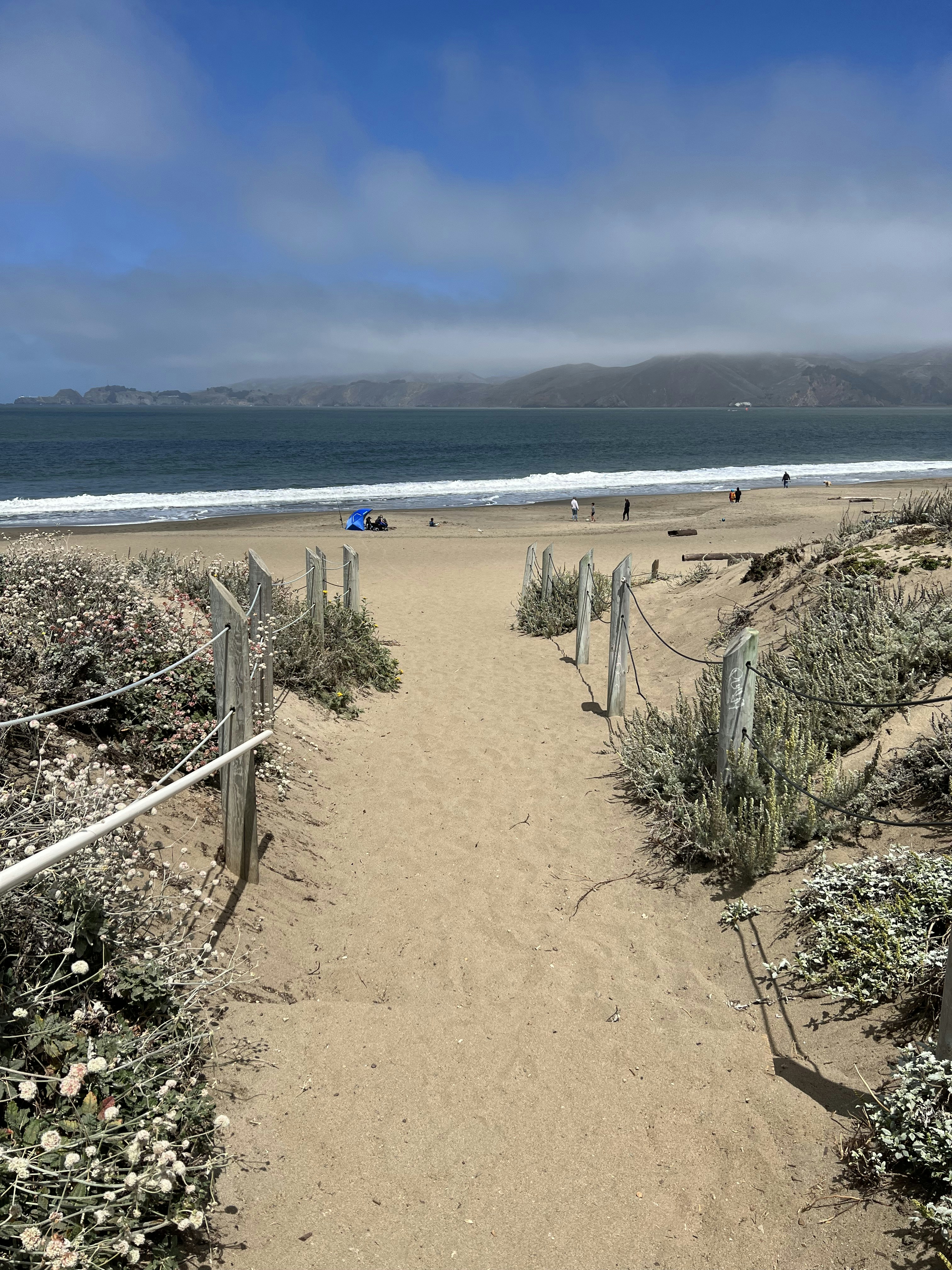 Path to the Blue Horizon: Dune-Lined Walk to a Serene Sea