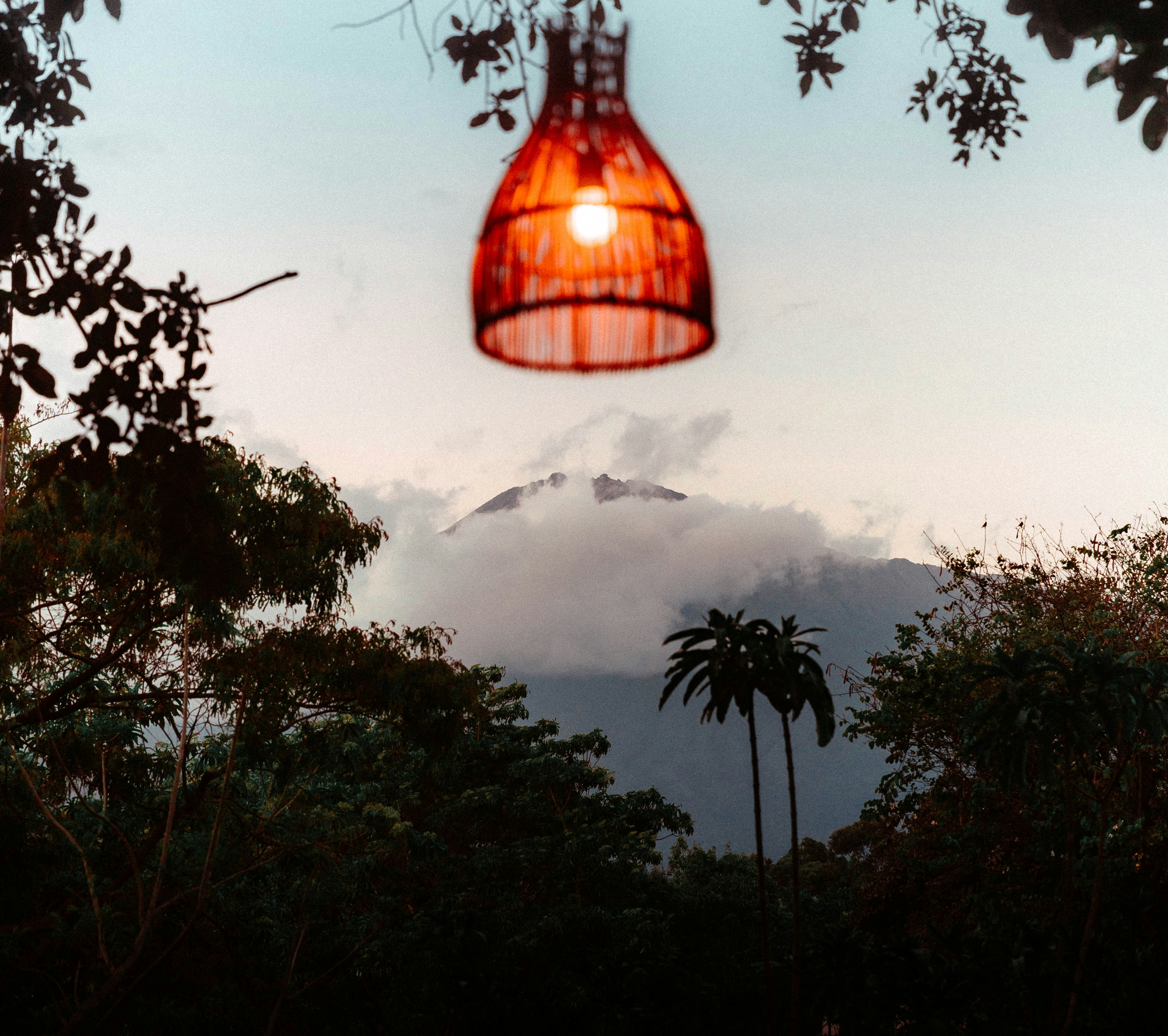A red light hanging from a ceiling in a forest photo – Free Mountain ...