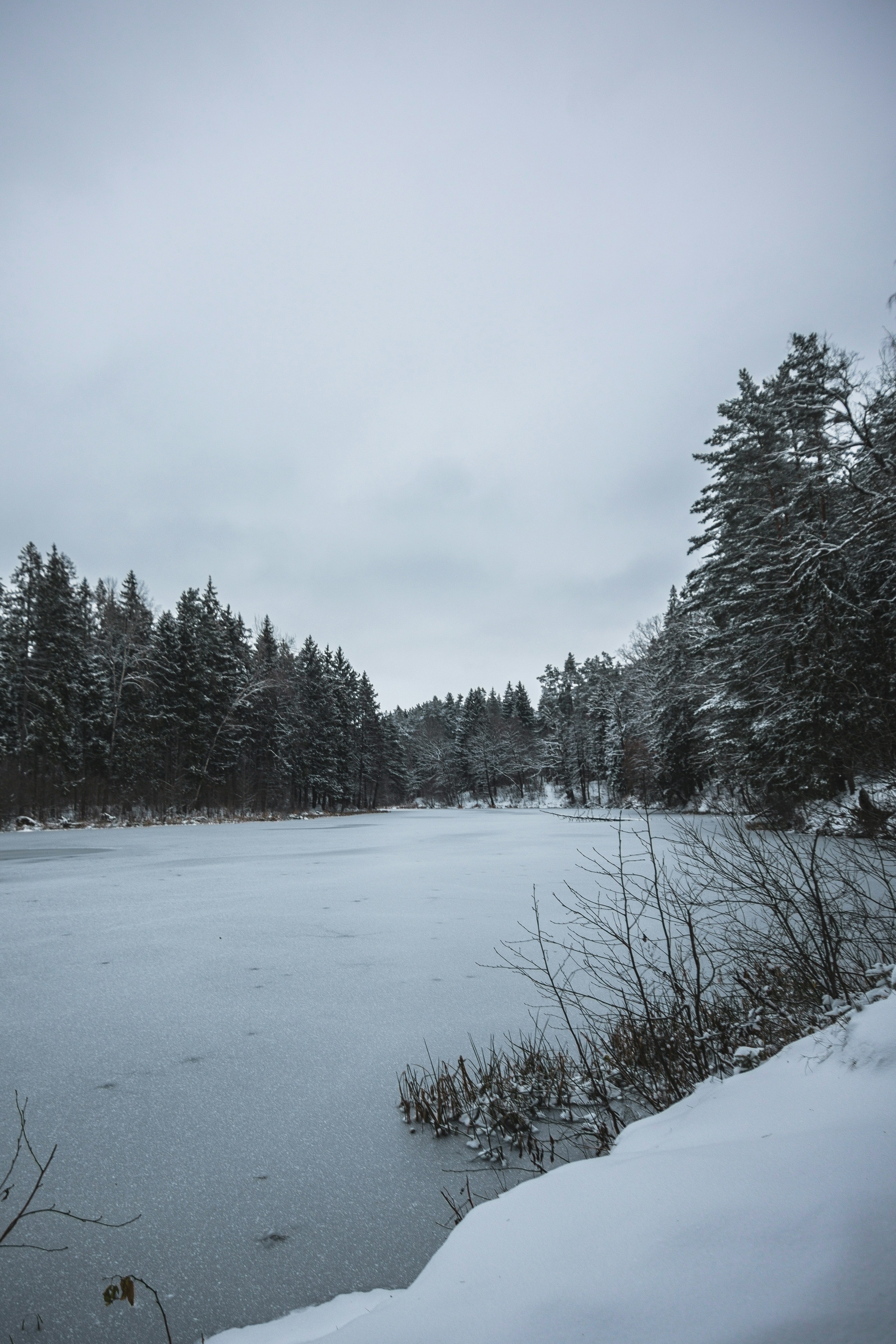 A frozen lake surrounded by snow covered trees photo – Free Mogilev ...