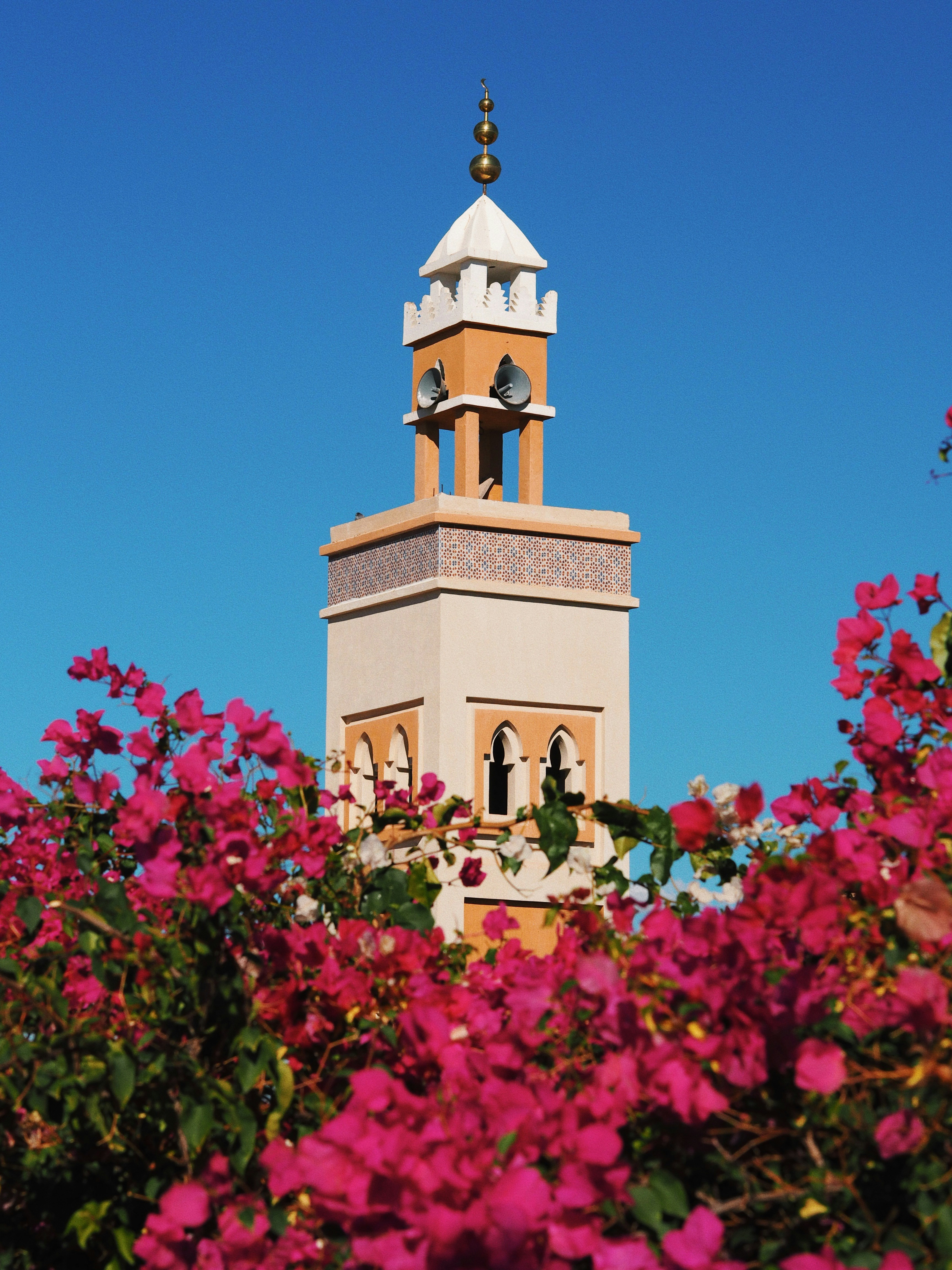 Tower in Bloom: A Mediterranean Minaret Rising Through Pink Bougainvillea