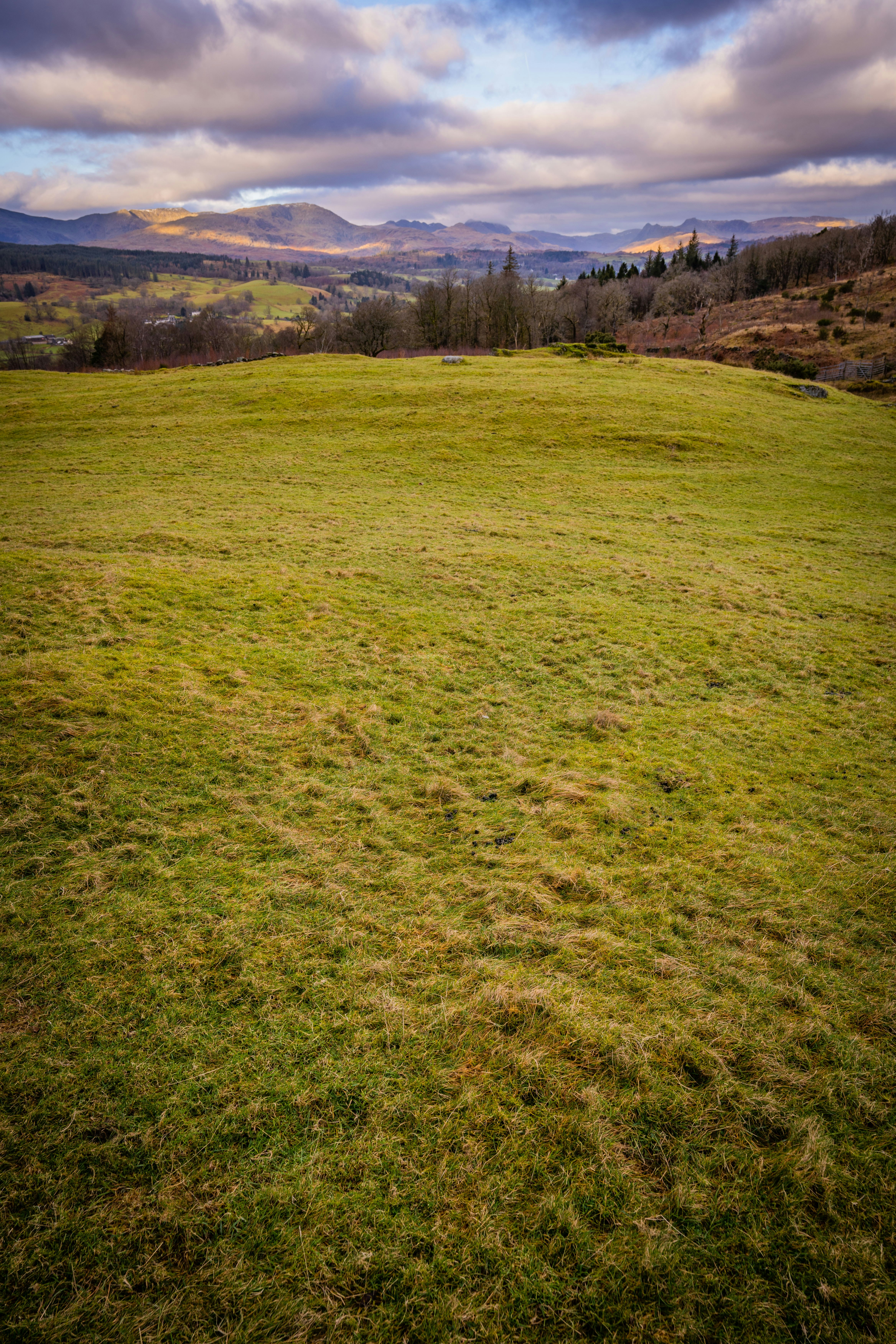 Moorland Horizon Beneath Storm-Soft Light