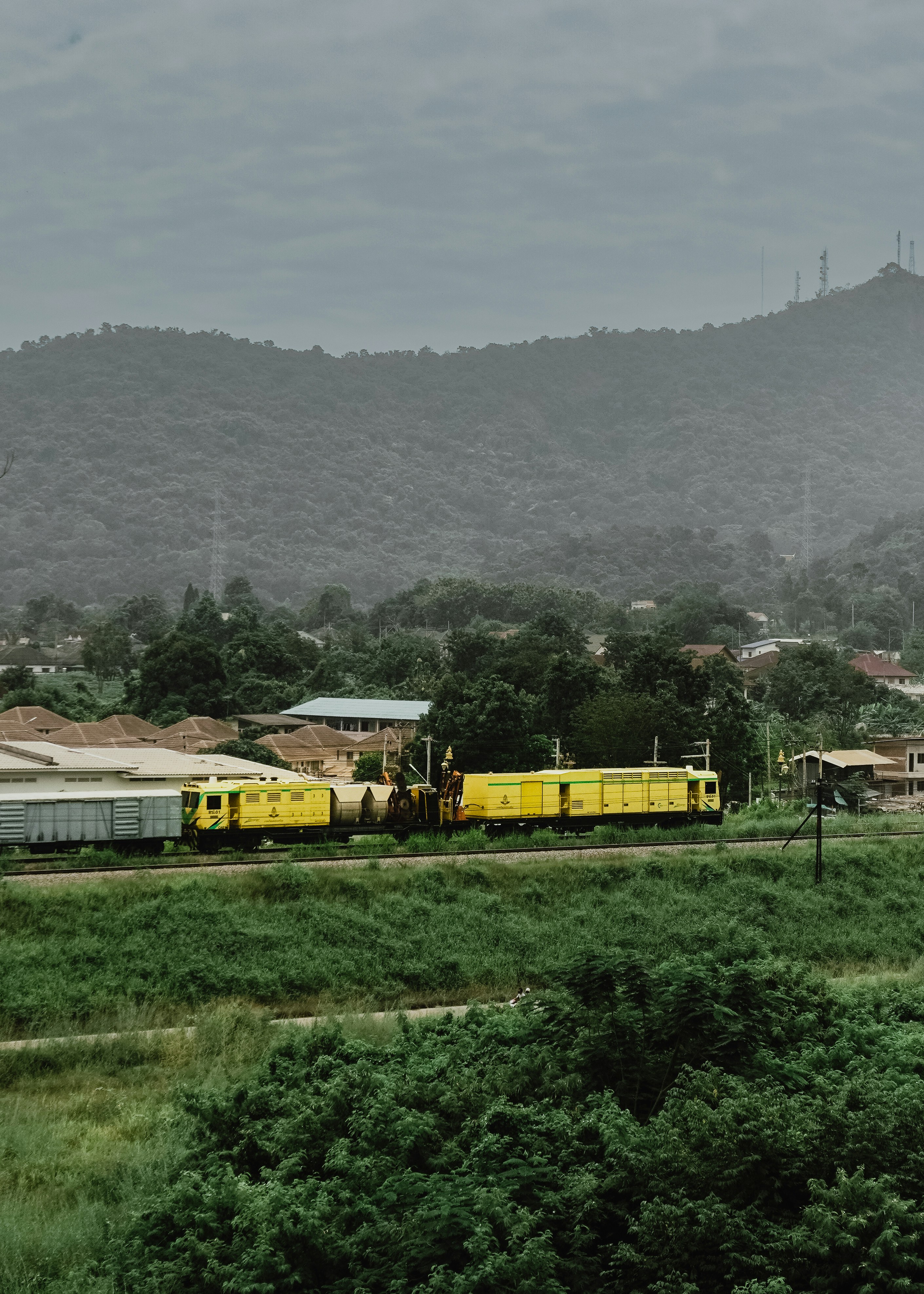 Yellow Locomotives on the Edge of a Verdant Valley