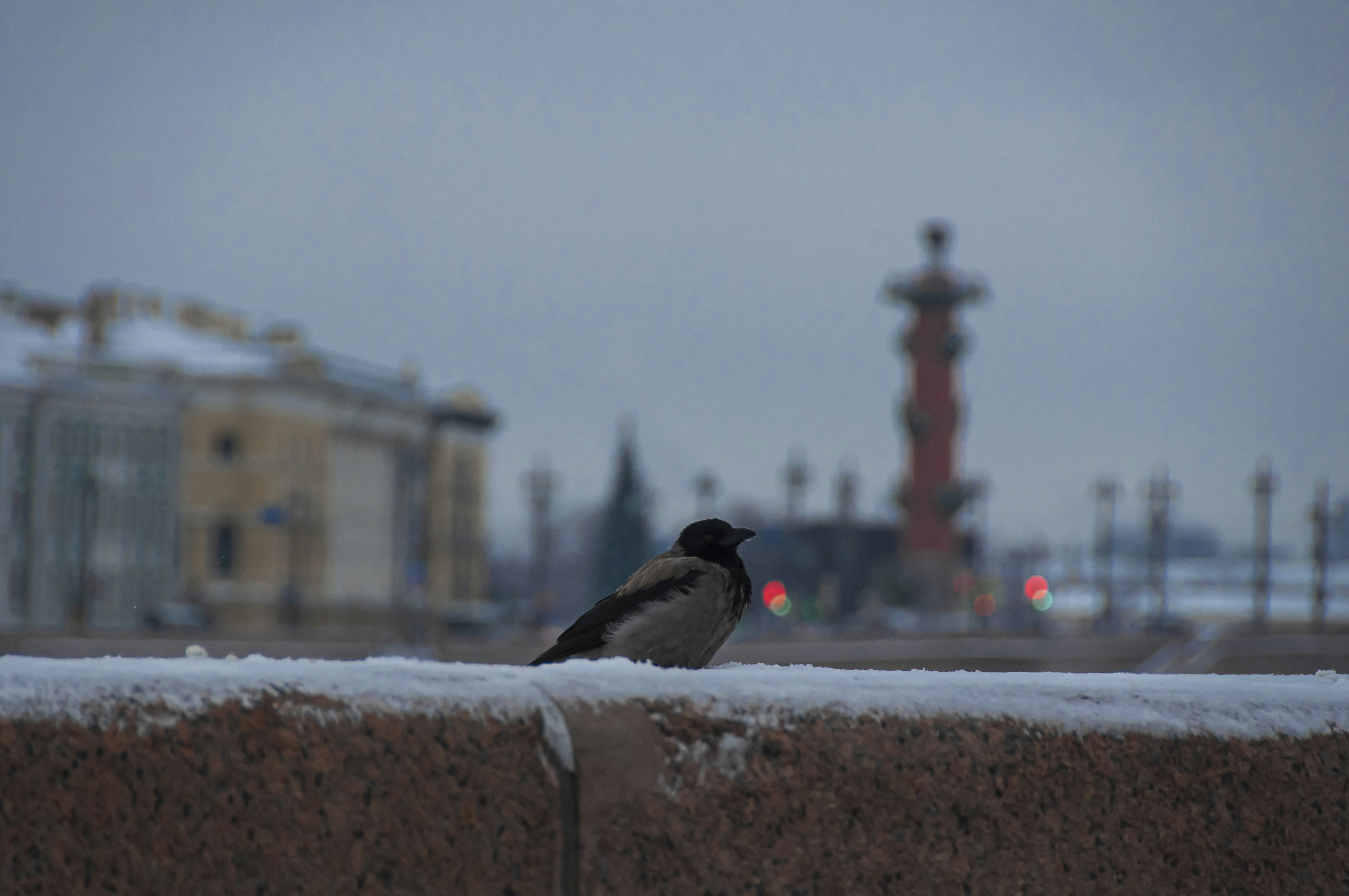 Photo by Nikita Nikitenko with Nikon D5000