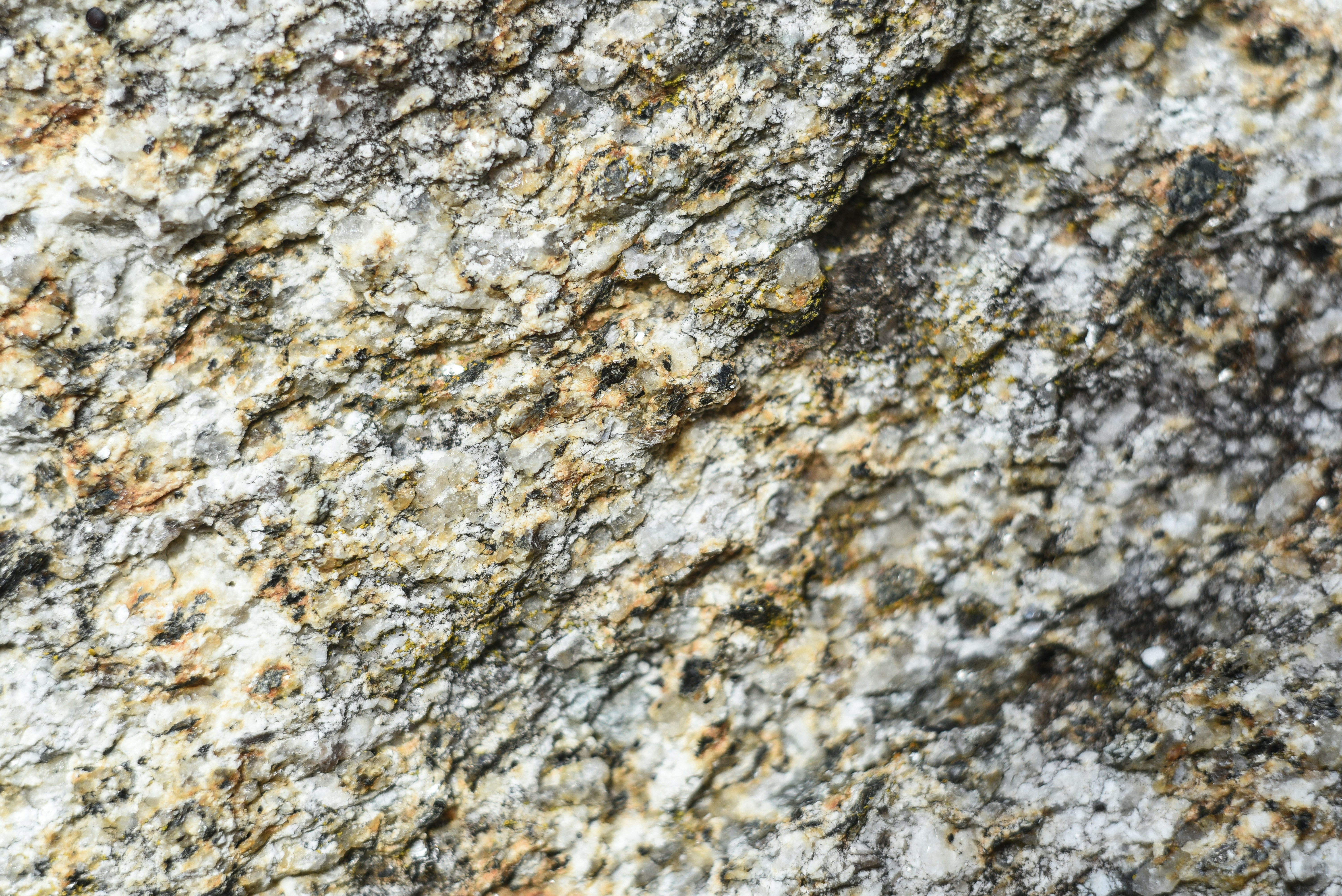 A close up of a rock with a brown and white substance photo – Free Rock ...