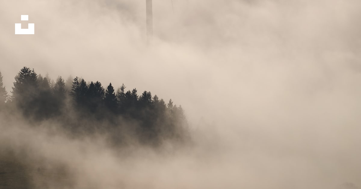 Foto Zum Thema Eine Windkraftanlage Mitten In Einem Nebligen Wald