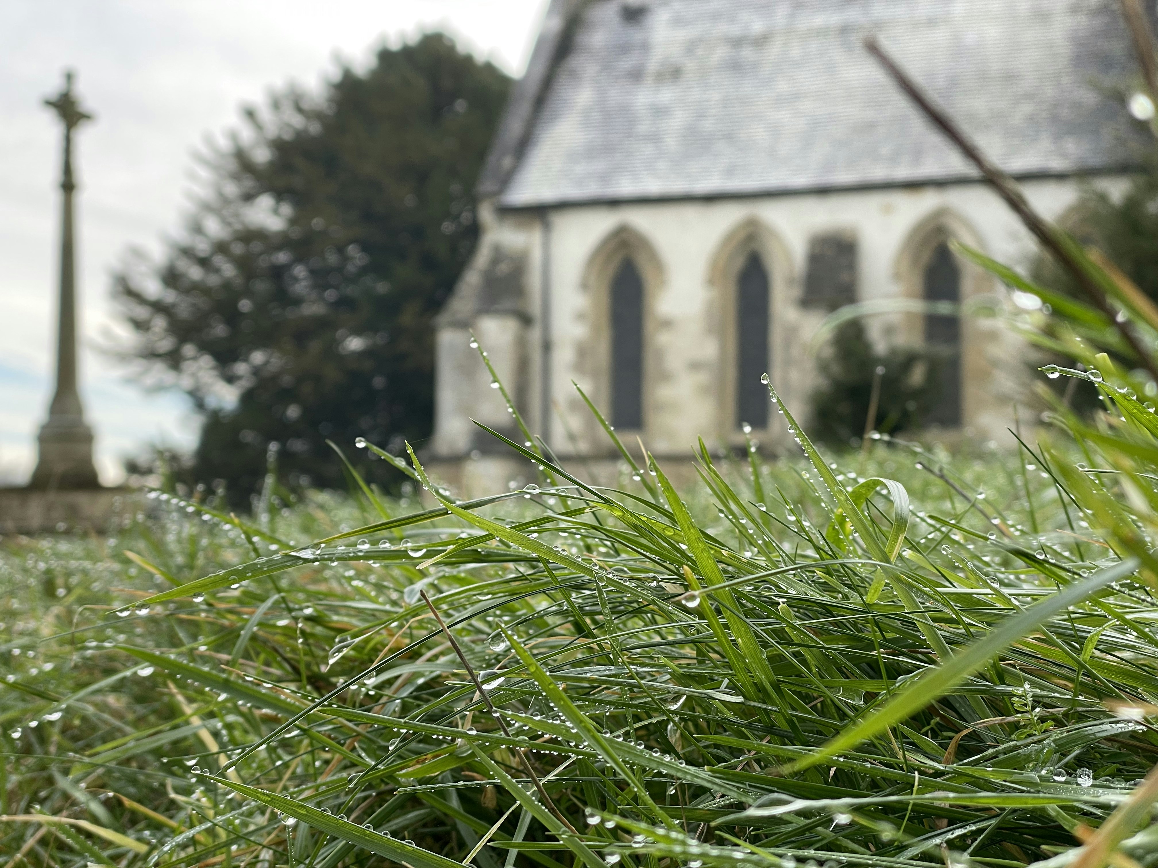a church in the background with water droplets on the grass