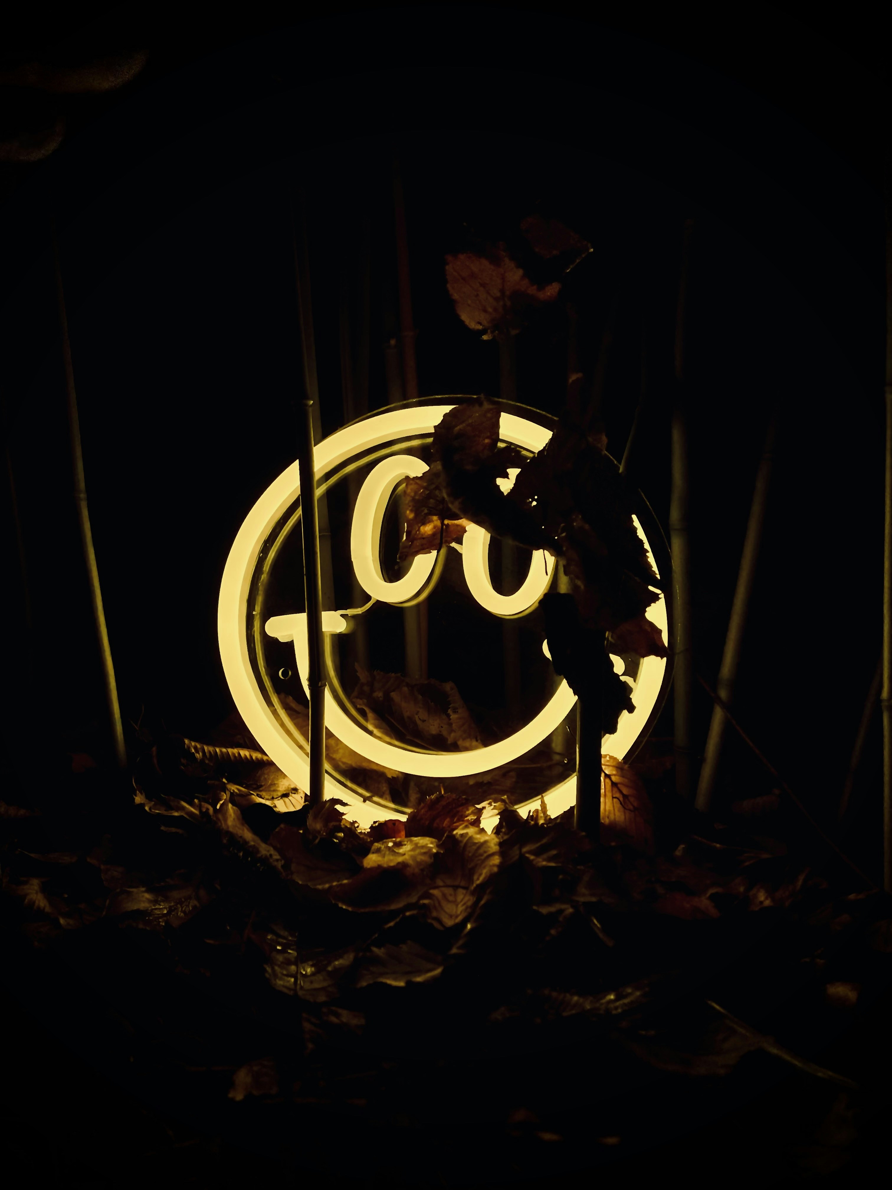 Ember-lit Neon Ring Framed by Autumn Leaves in Darkness