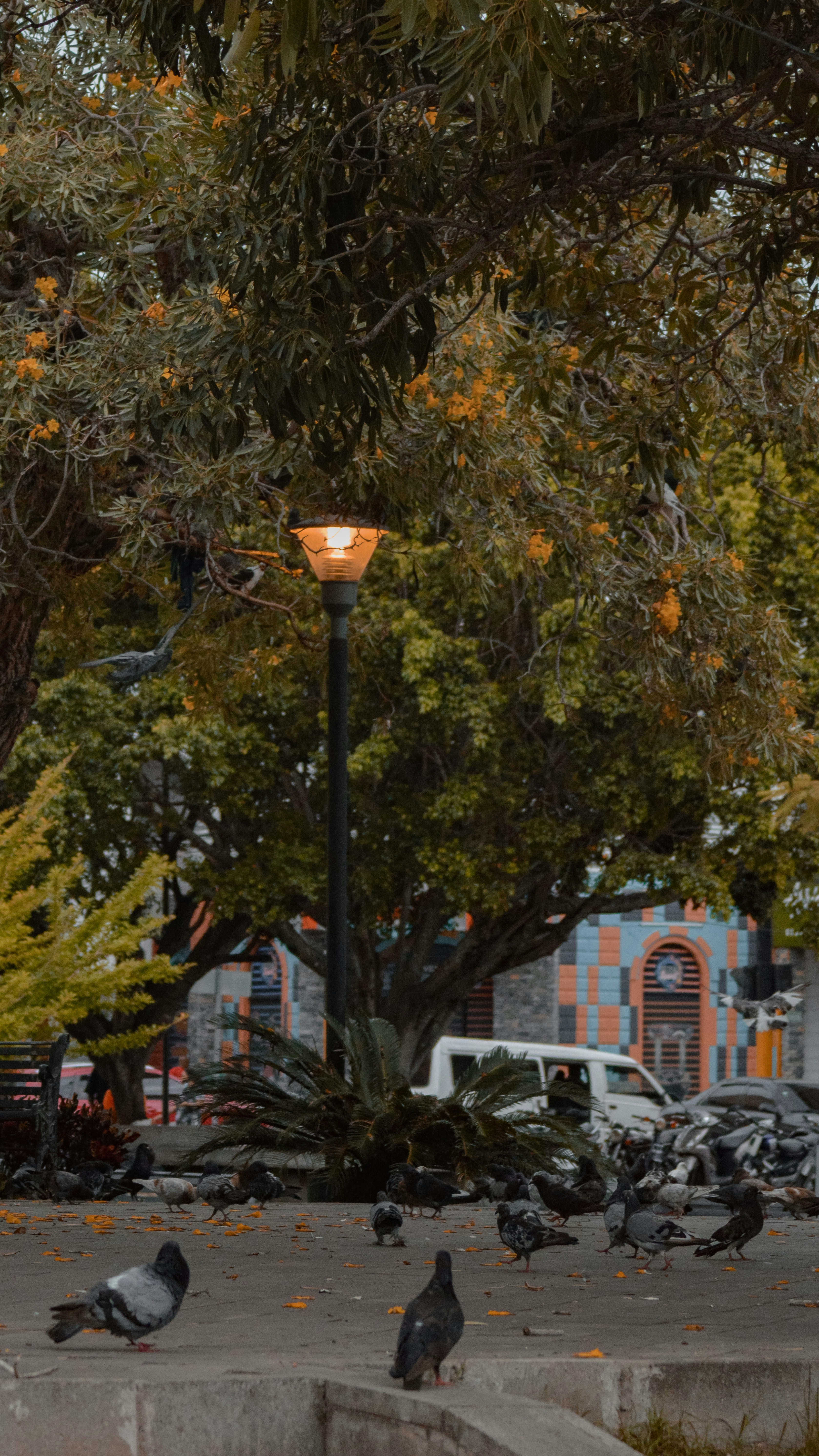 Photo by Yicaury Tejada Hndez with Nikon D3200