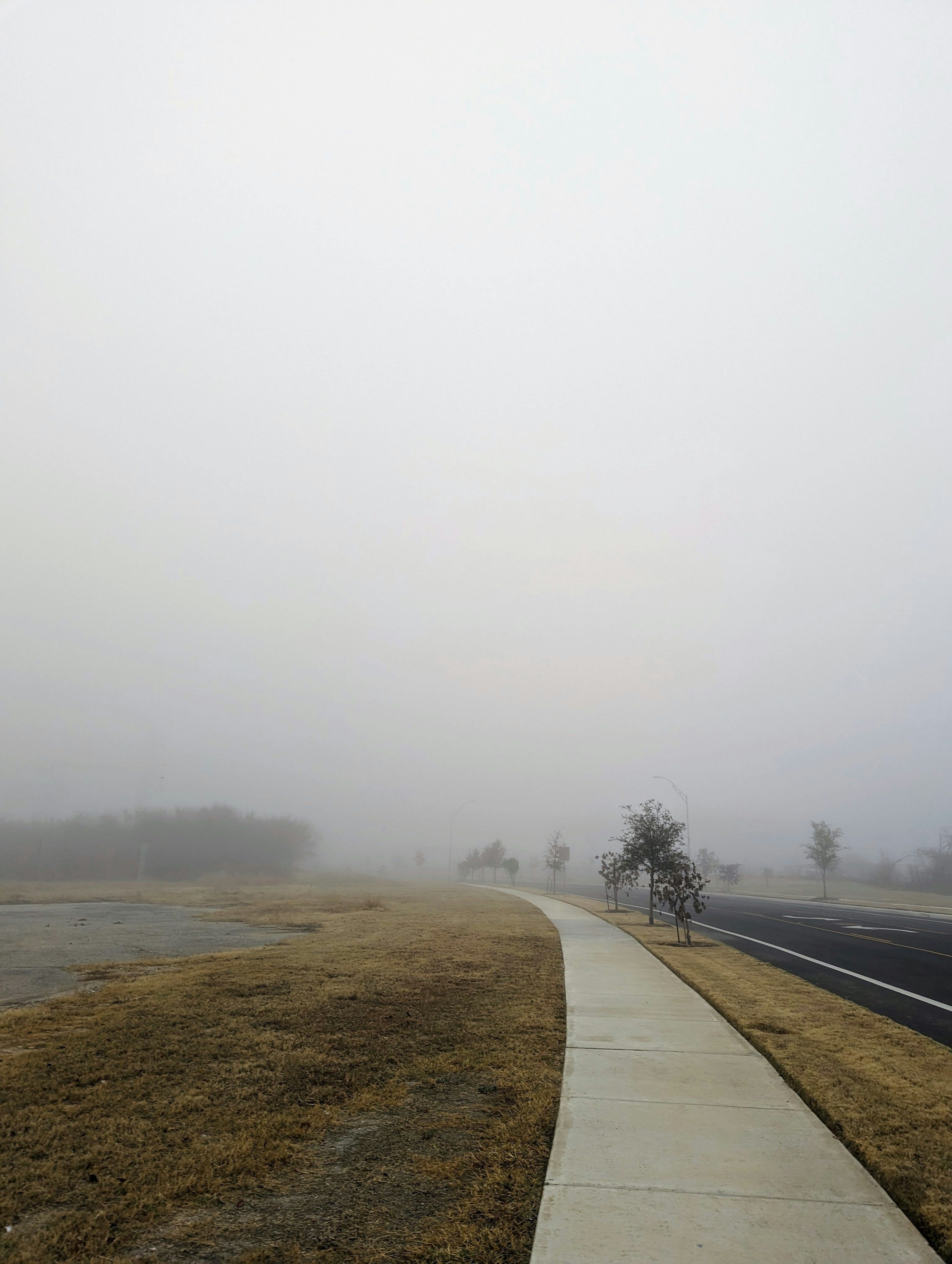 Veil of Mist: A Pathway to the Unknown