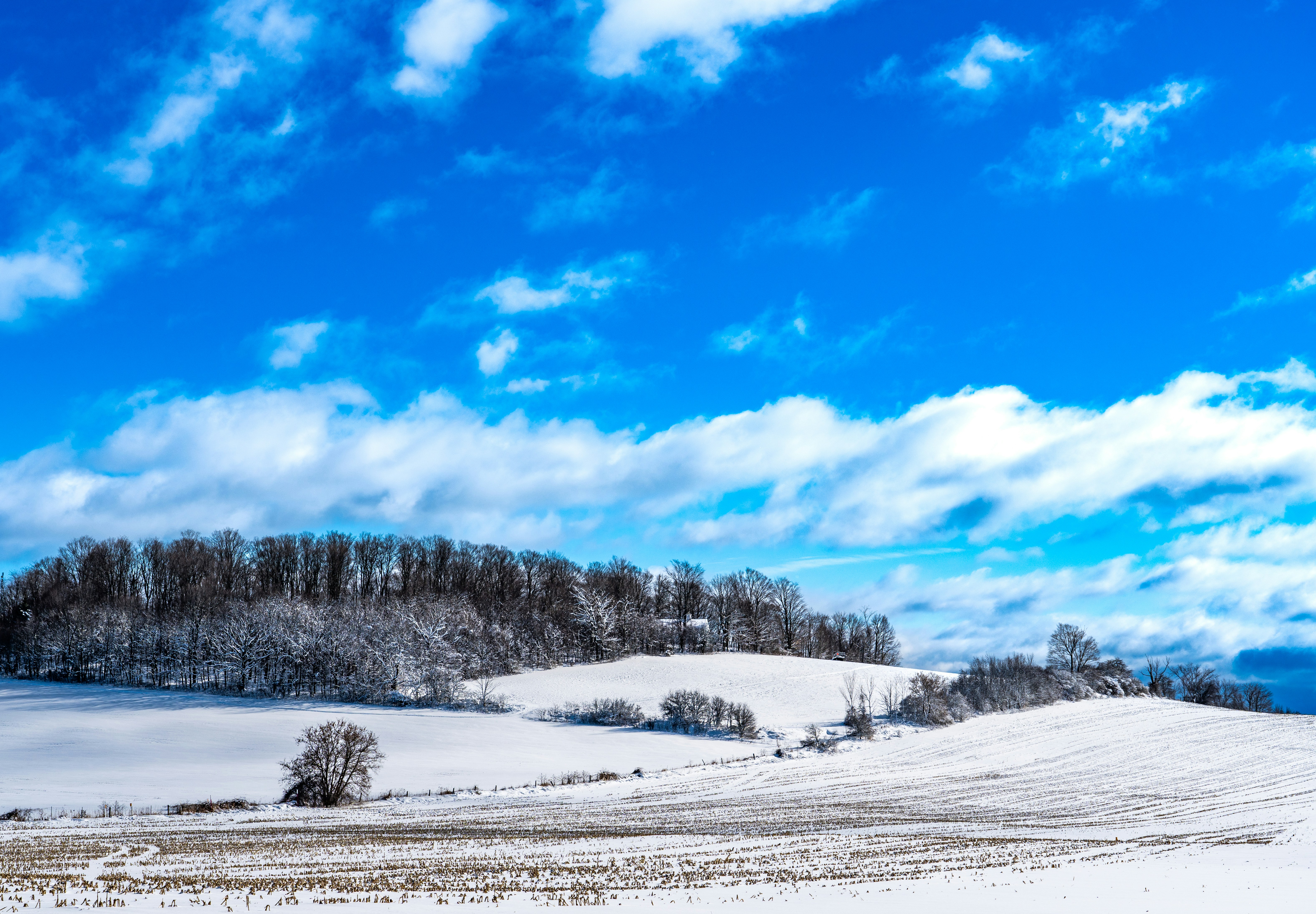 a rural winter landscape