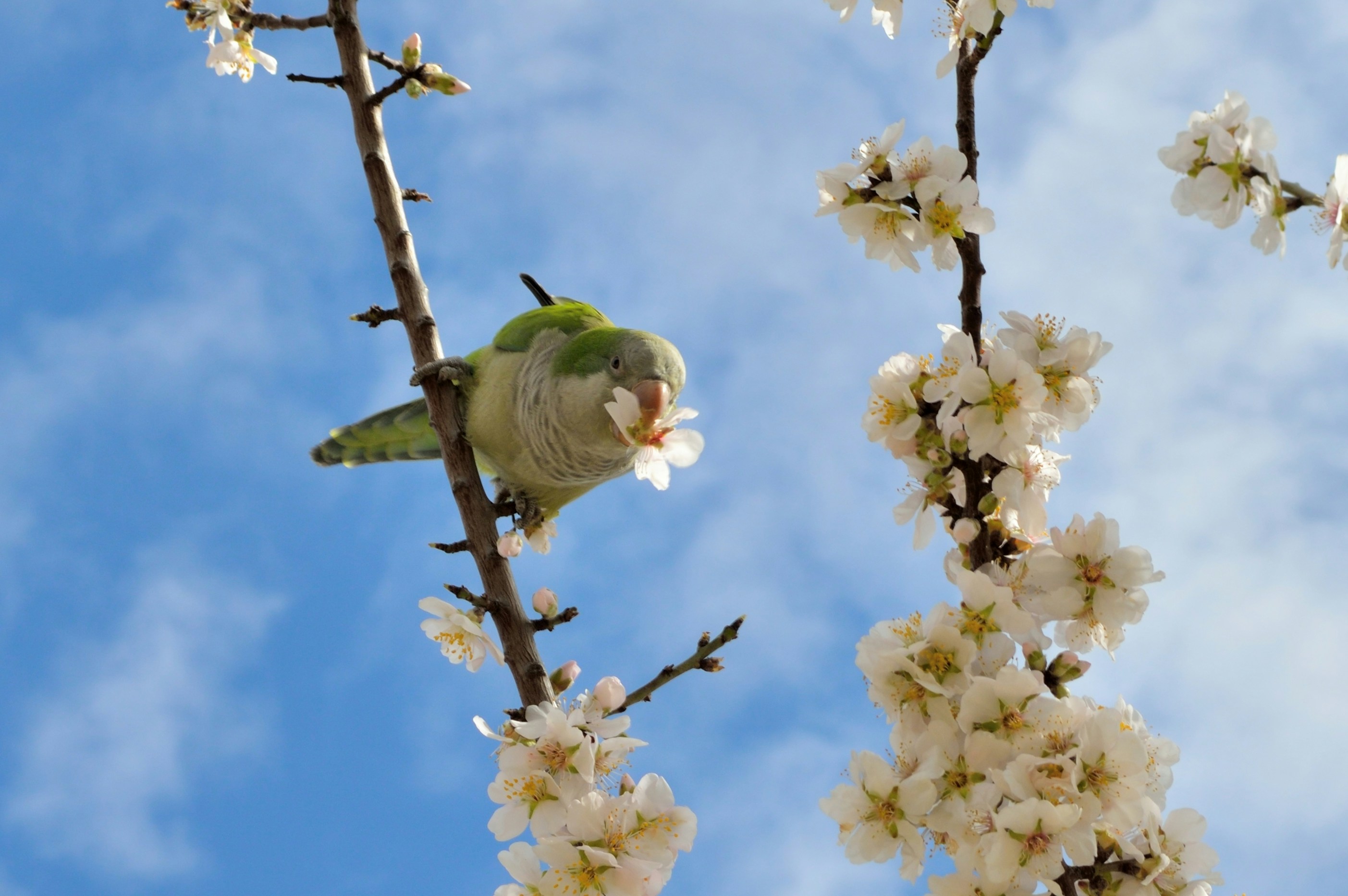 Photo by Fanny Protat with Nikon D3200