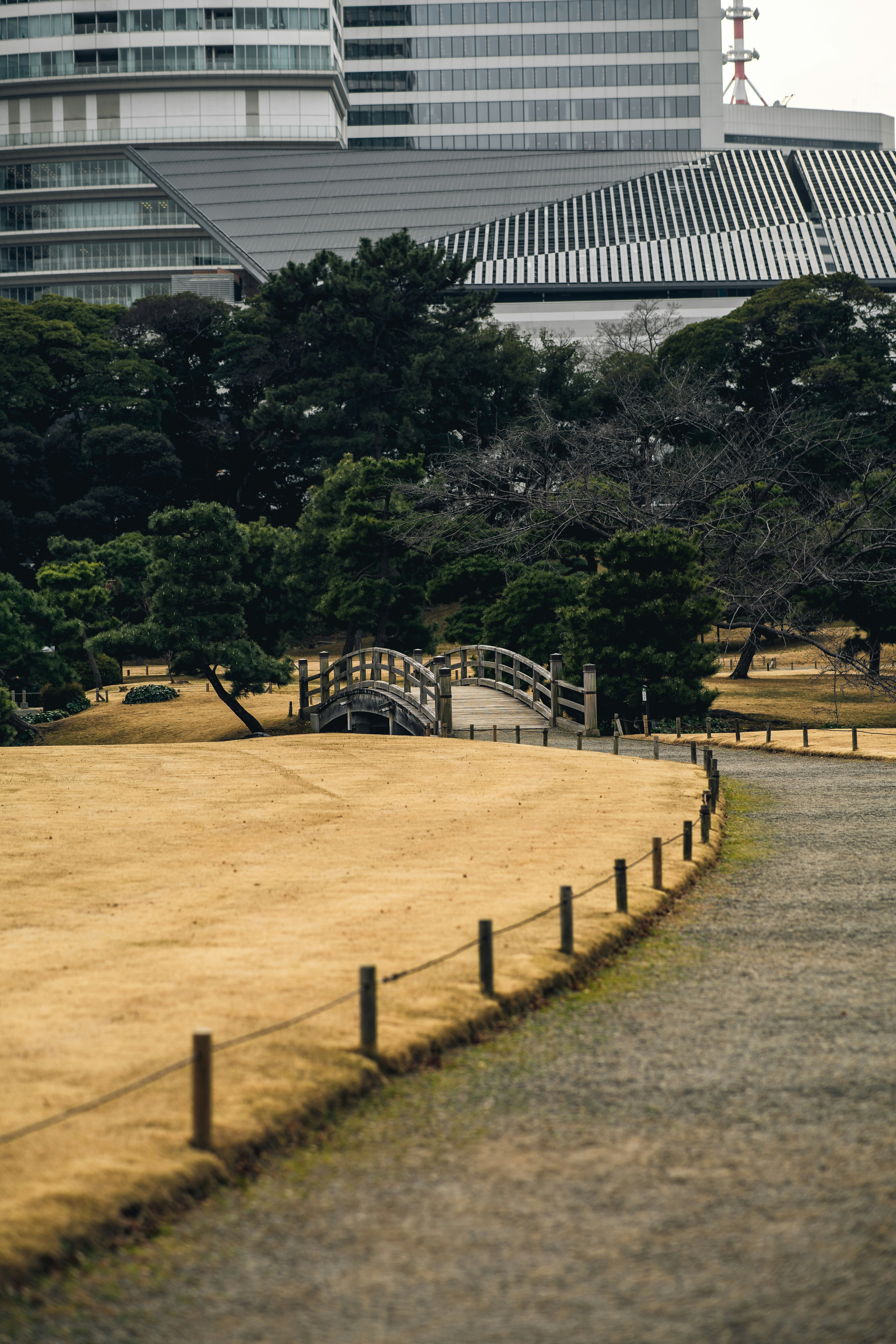Curved Wooden Bridge Linking a Serene Park to a Modern Skyline