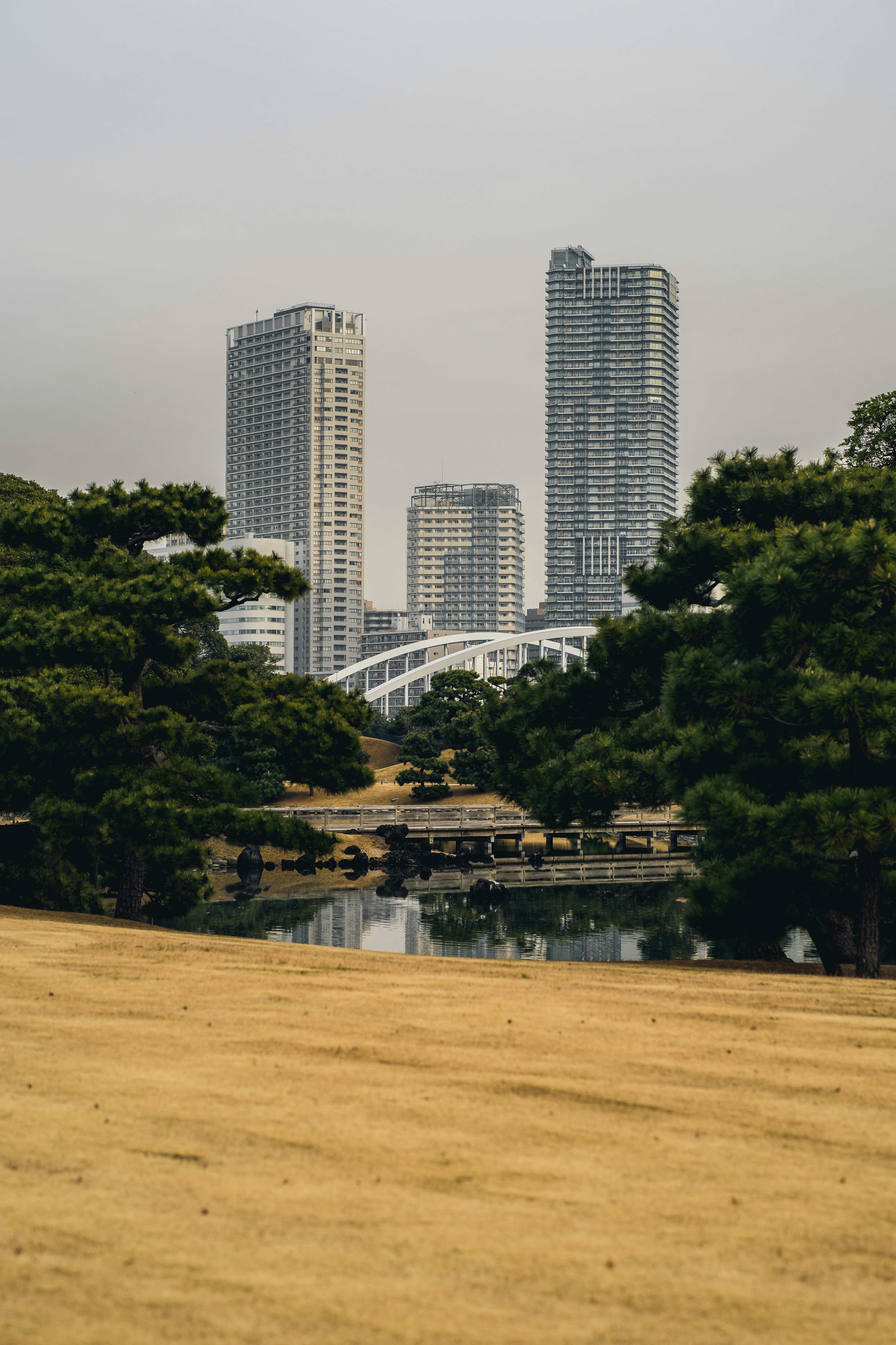 Riverside Reverie: City Towers Rise Behind a Quiet Park