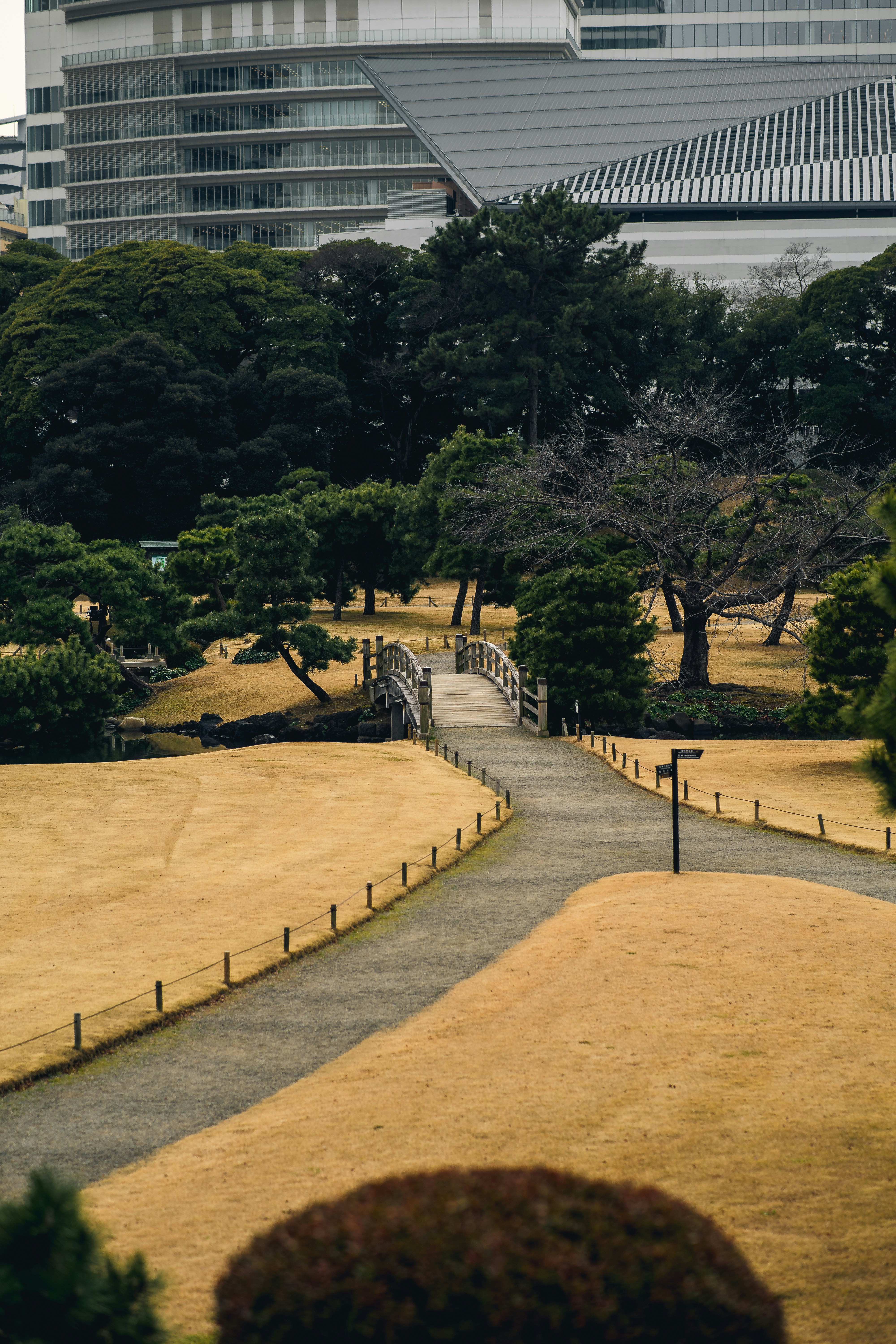 Stone Bridge in a Quiet Park, Framed by a Modern Cityscape