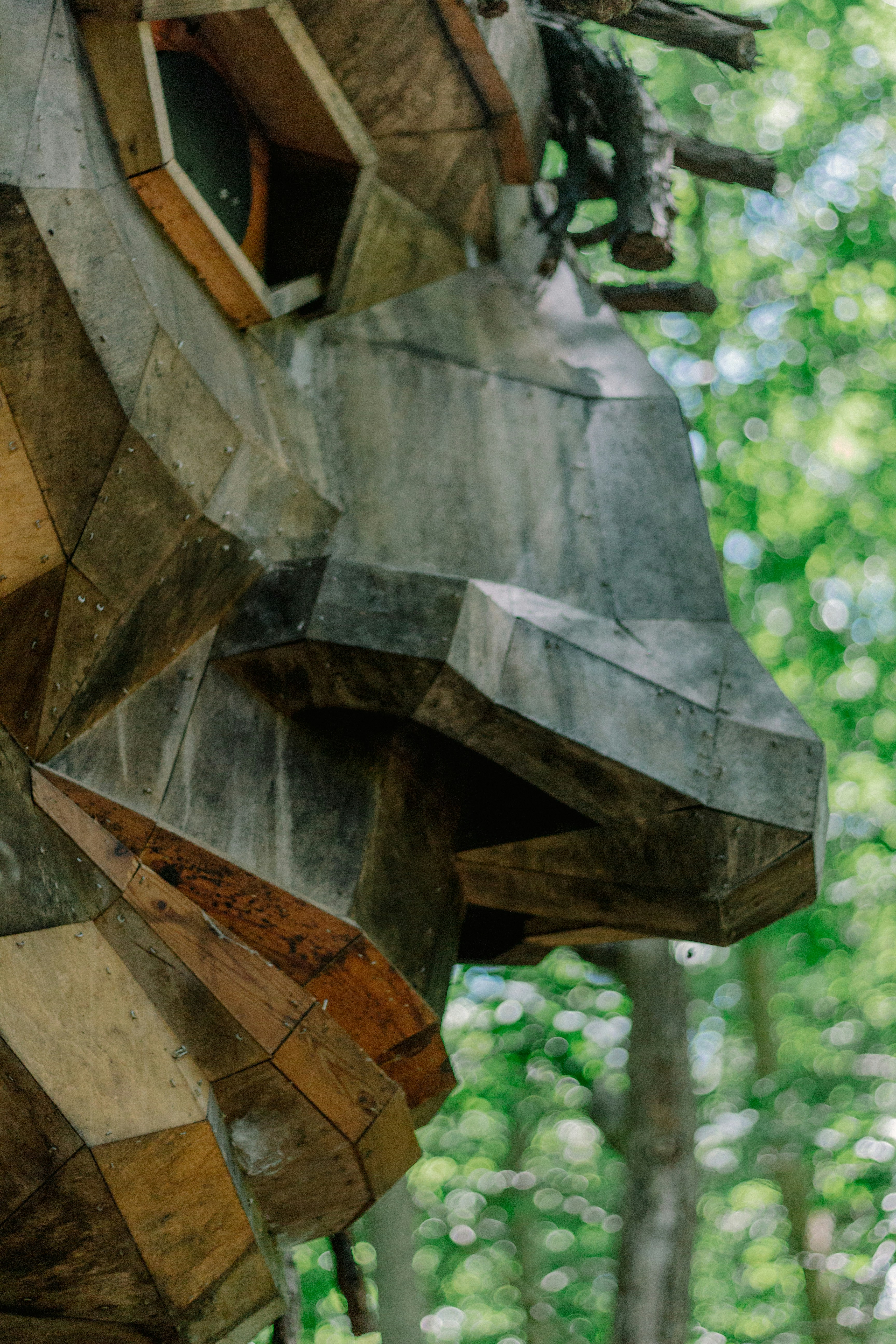 Polygonal Woodland Beast Head in a Forest Clearing