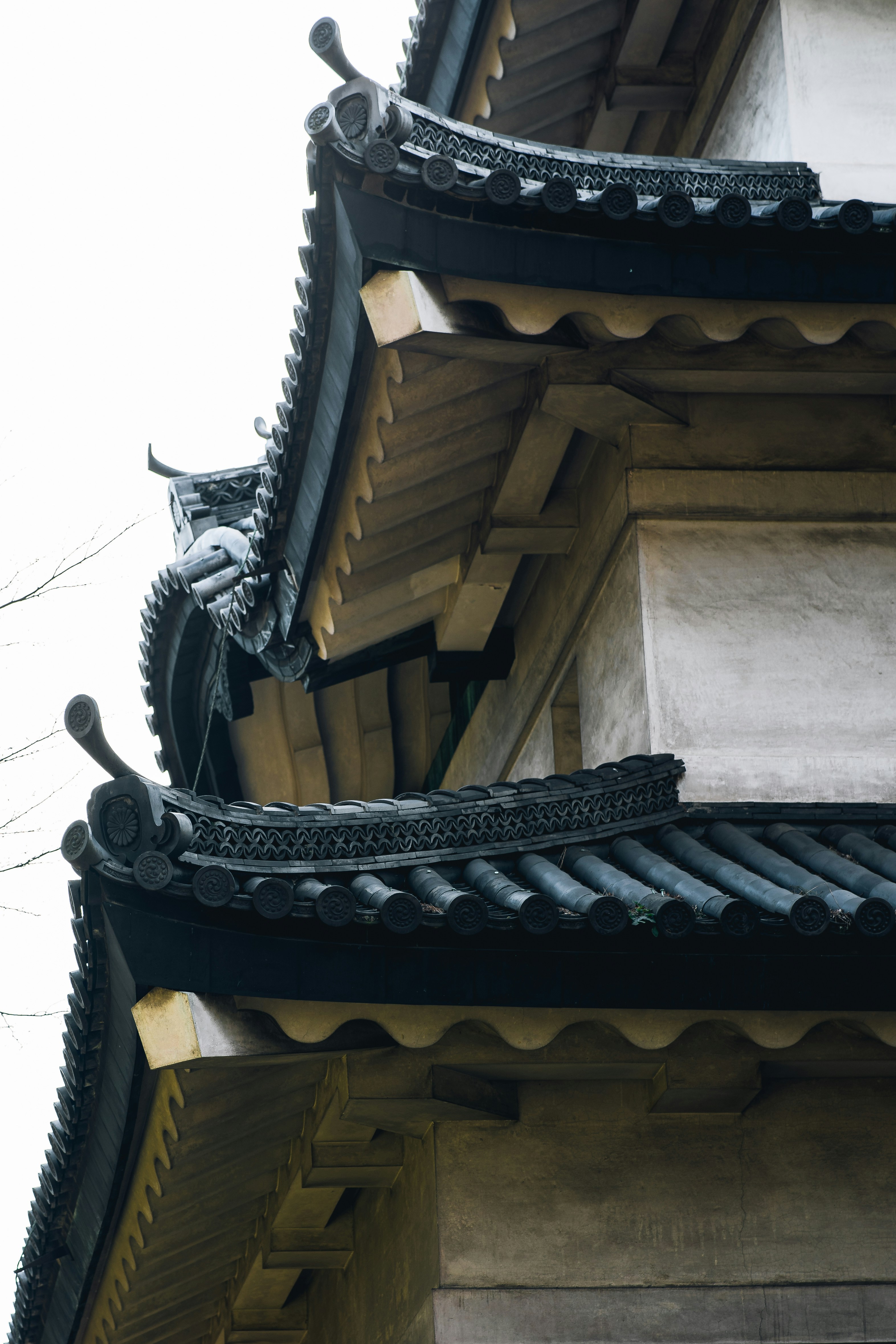 Photo by Szymon Shields with Sony Alpha 7 II