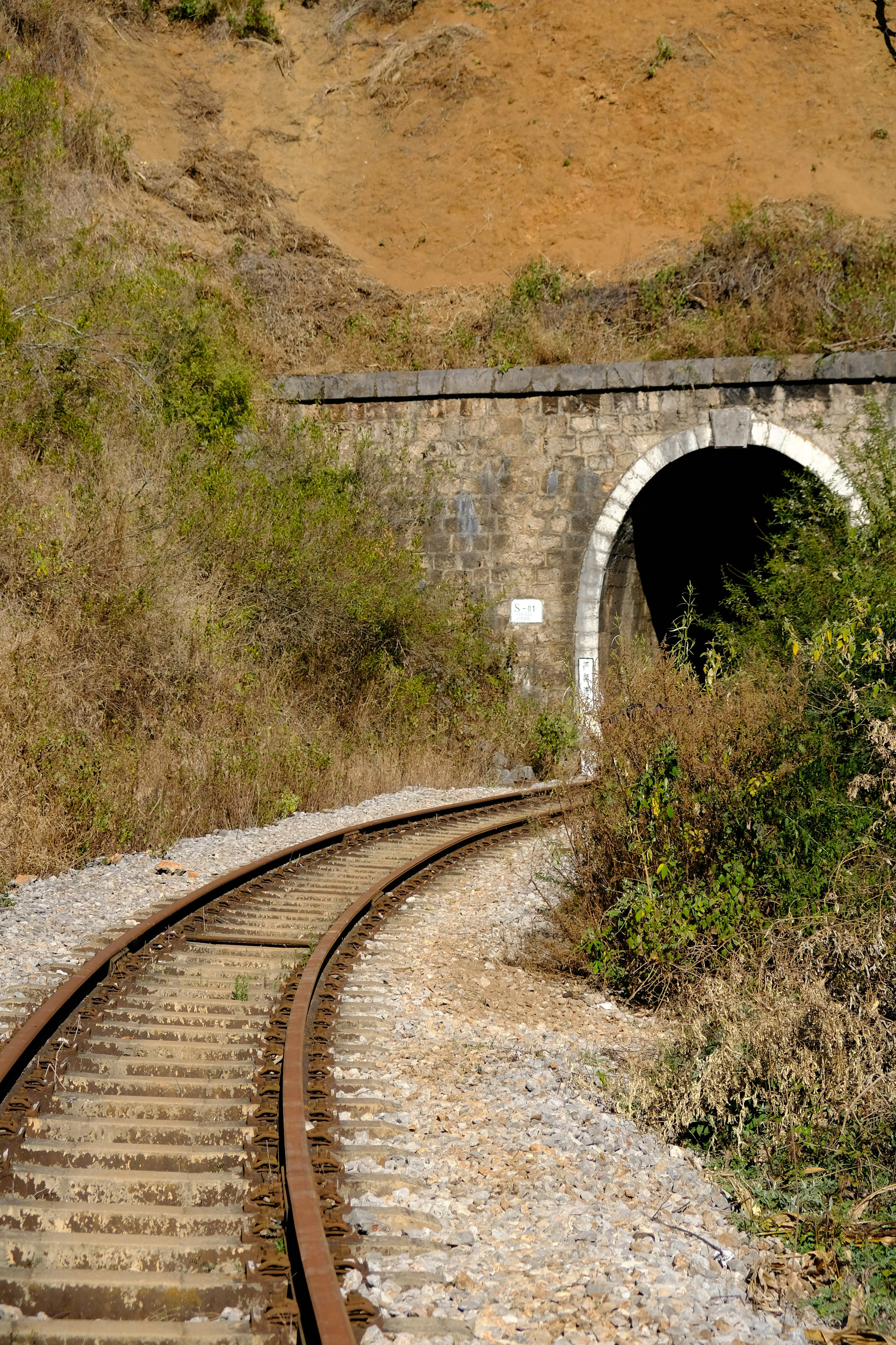 This Train Memory Of Mine is Long Gone - by Chuck D'Imperio