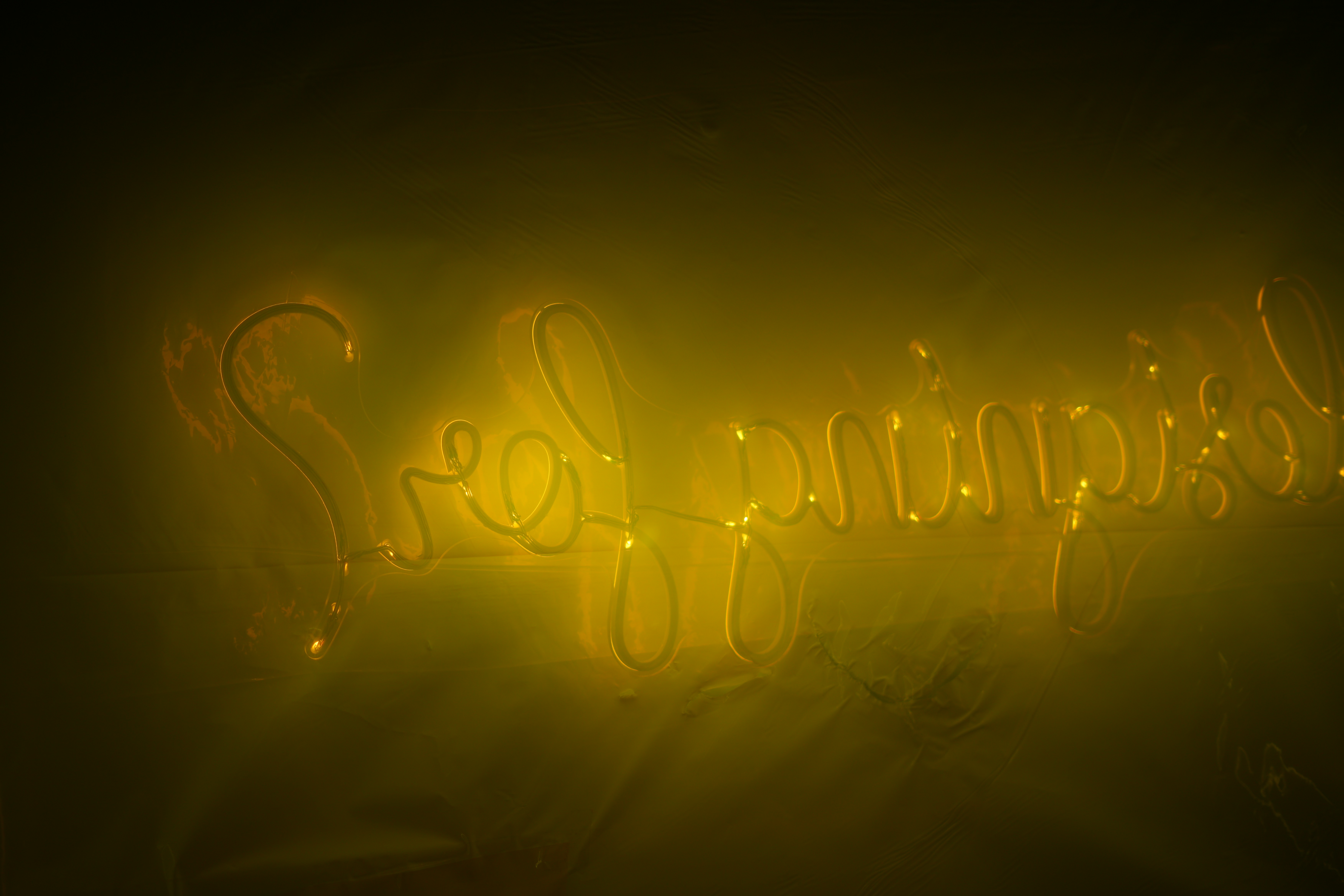 A neon sign that says wannan do? photo – Free Neon signs Image on Unsplash