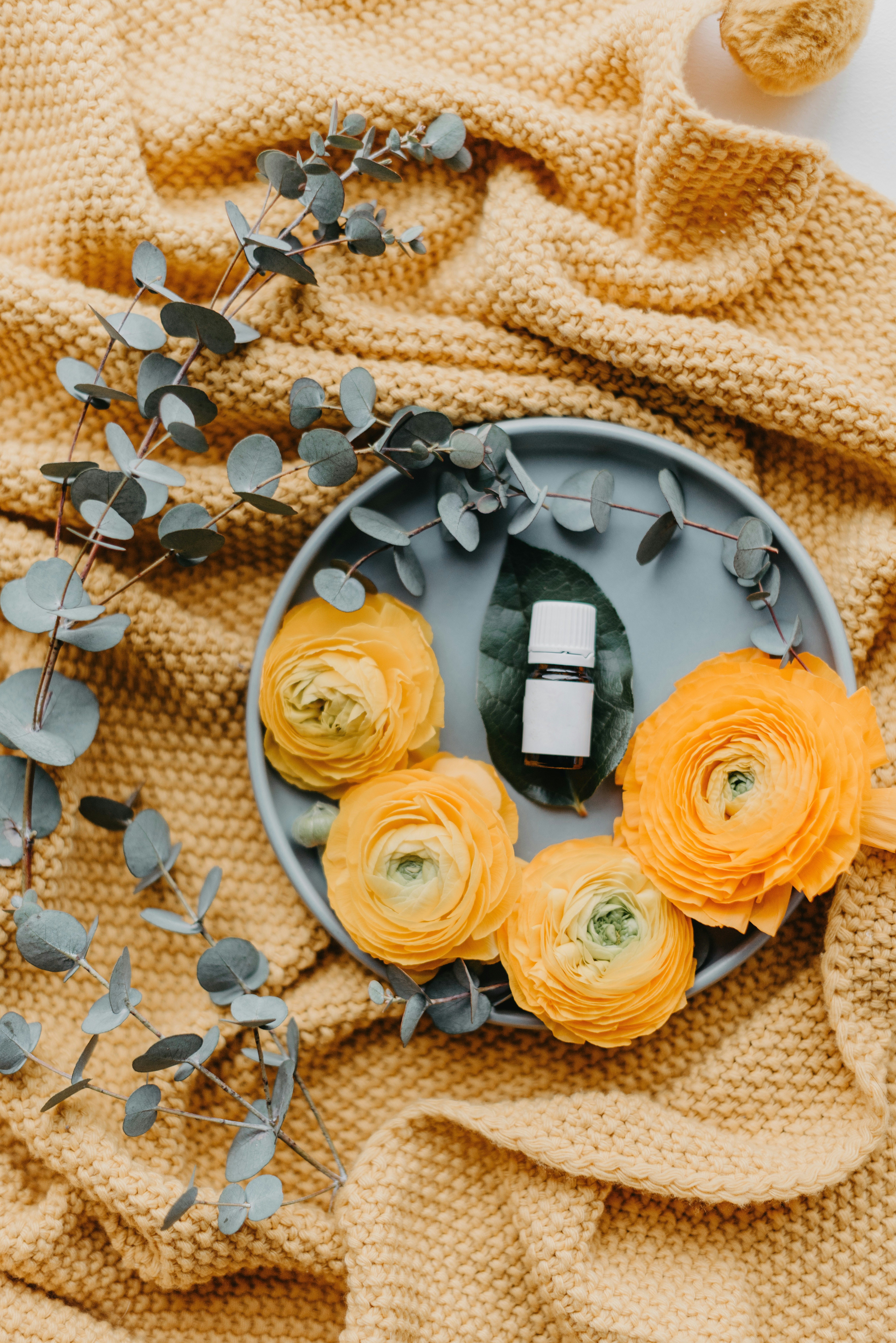 Amber Knit Still-Life: A Centered Bottle Anchors Eucalyptus and Ranunculus