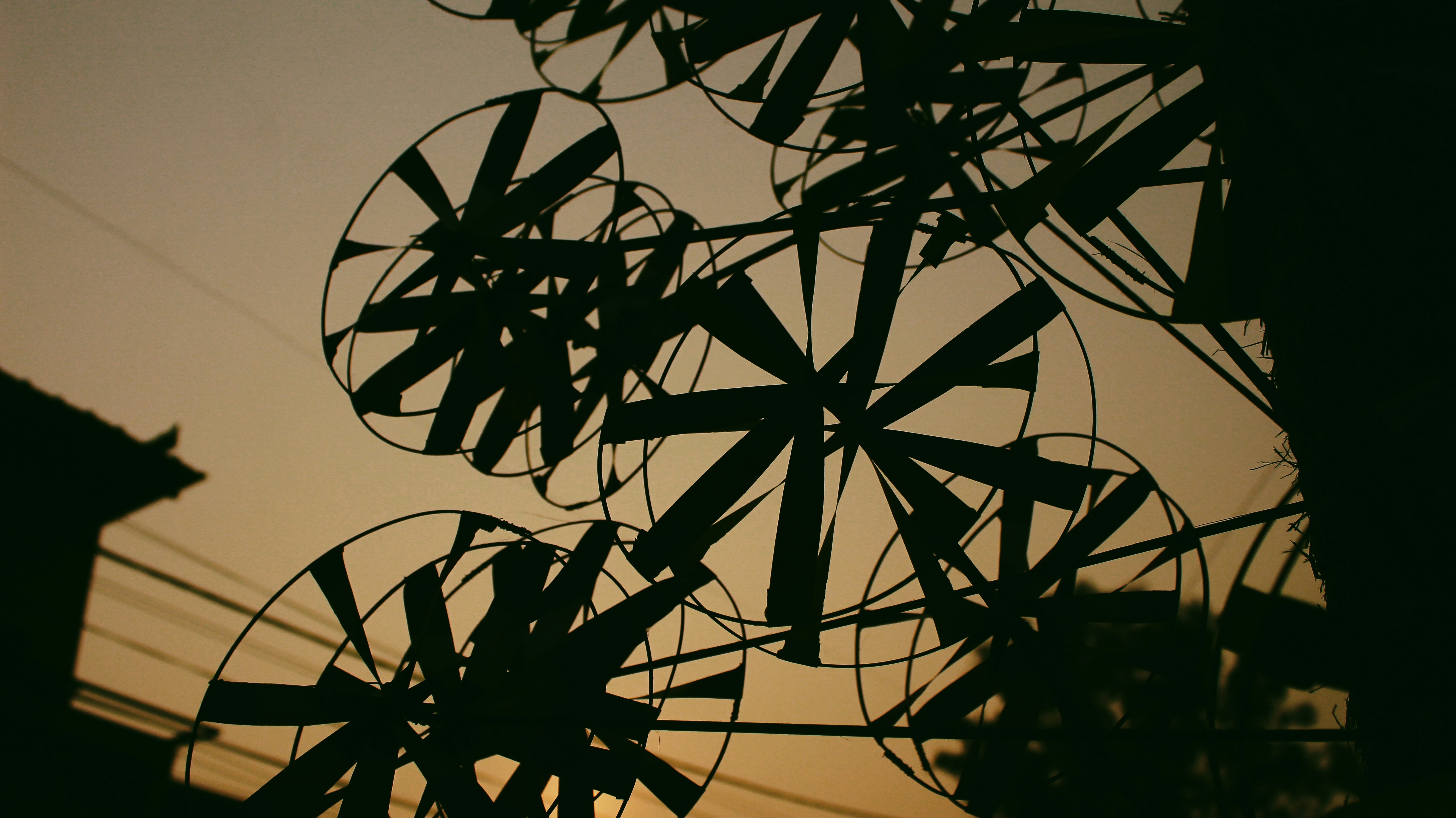 Circular Canopy Silhouette Against Honeyed Dusk