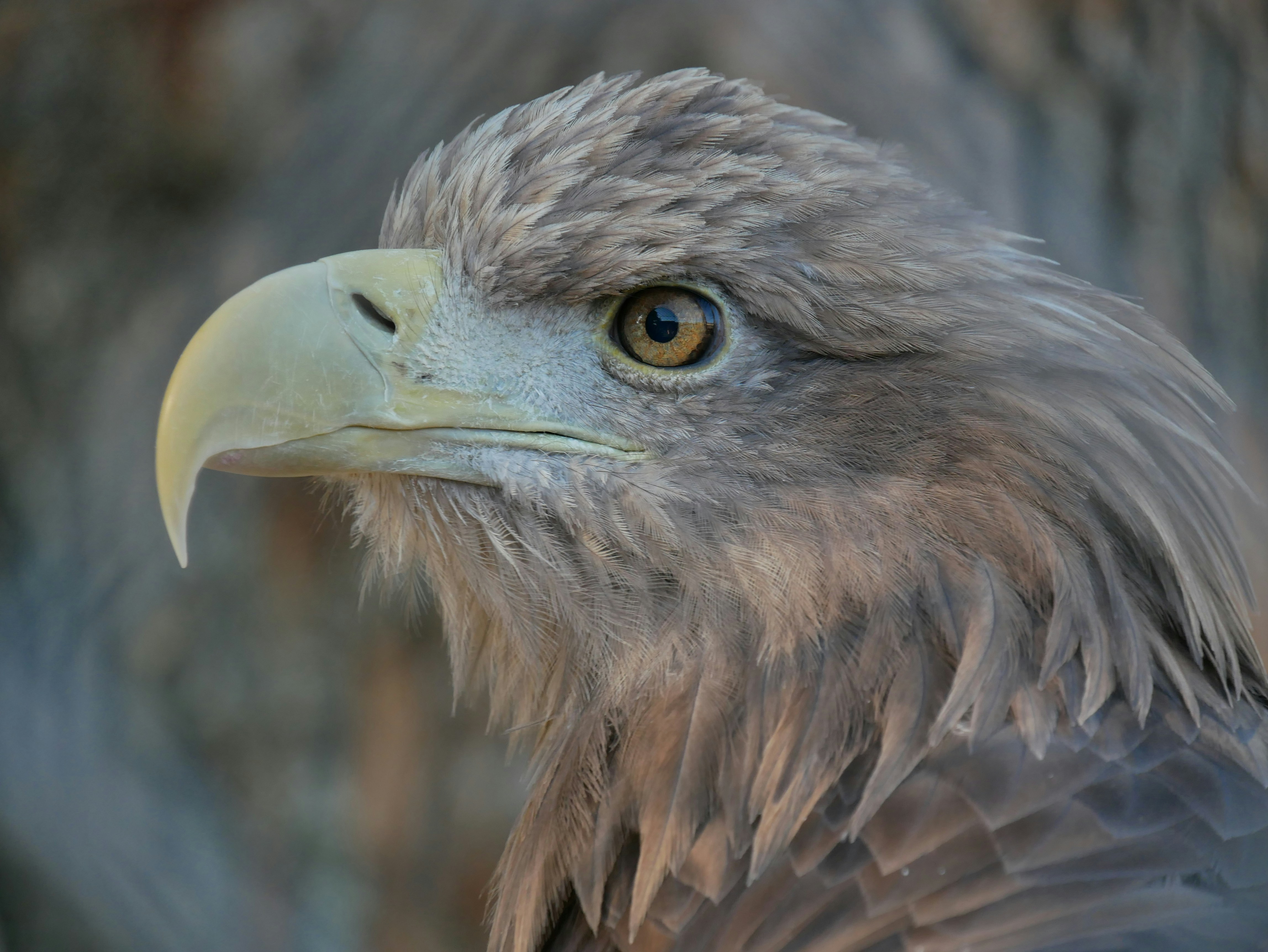 Photo by Sophia Glushko with Panasonic Lumix GX80