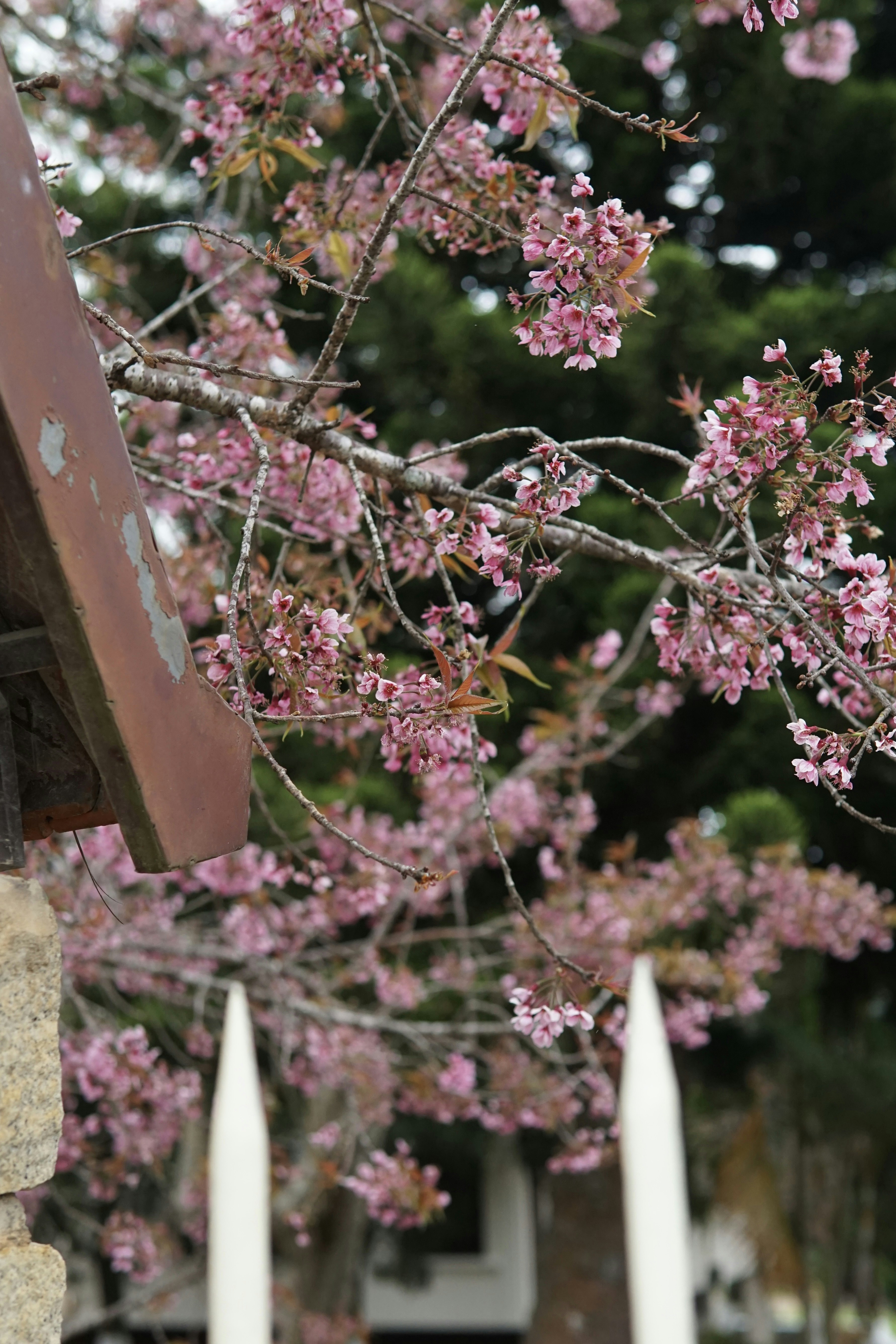 Photo by Tuyen Vo with Sony Alpha 6000