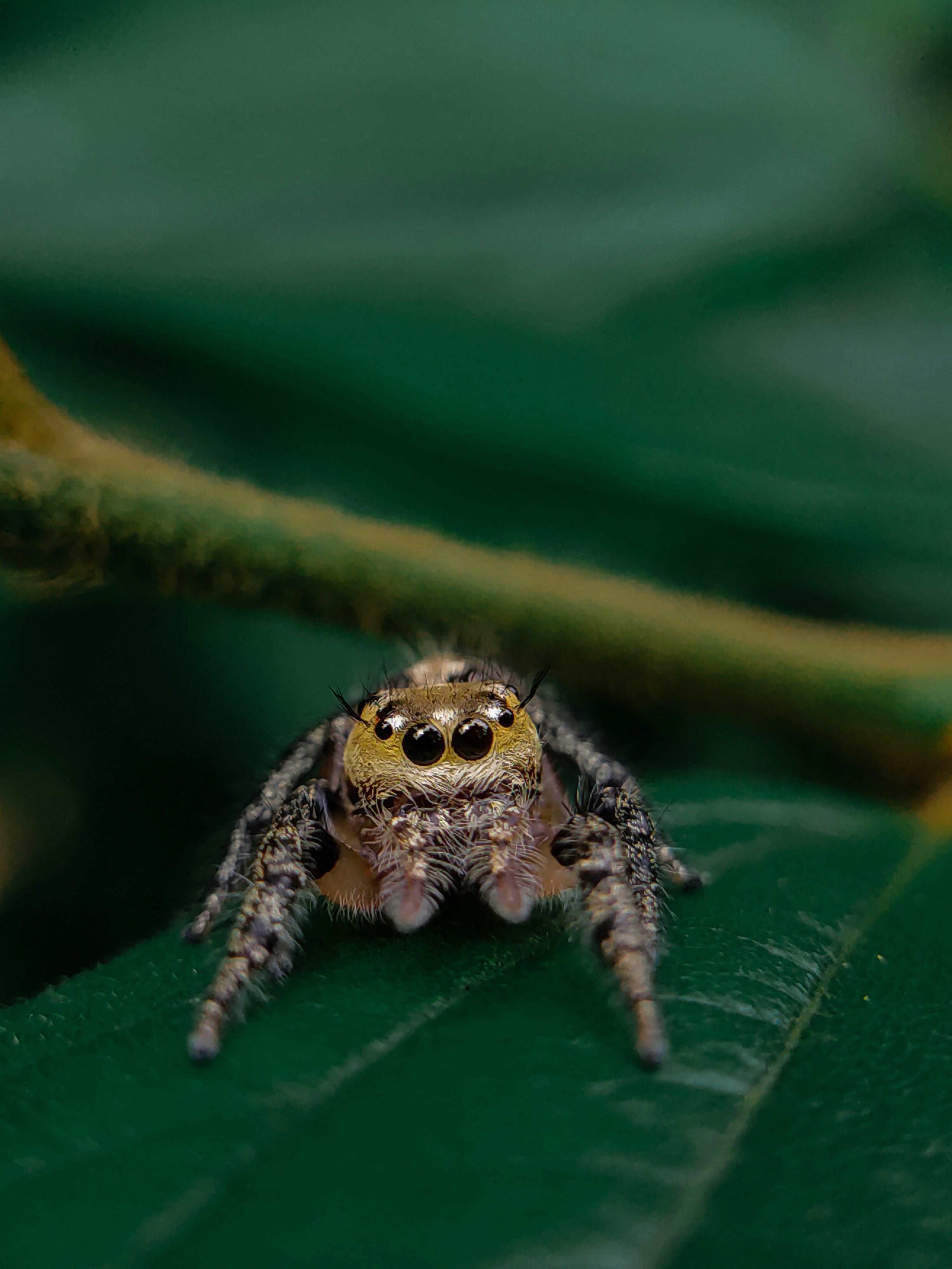 Photo by Abhinand Bijeesh with Xiaomi Redmi Note 10 Lite