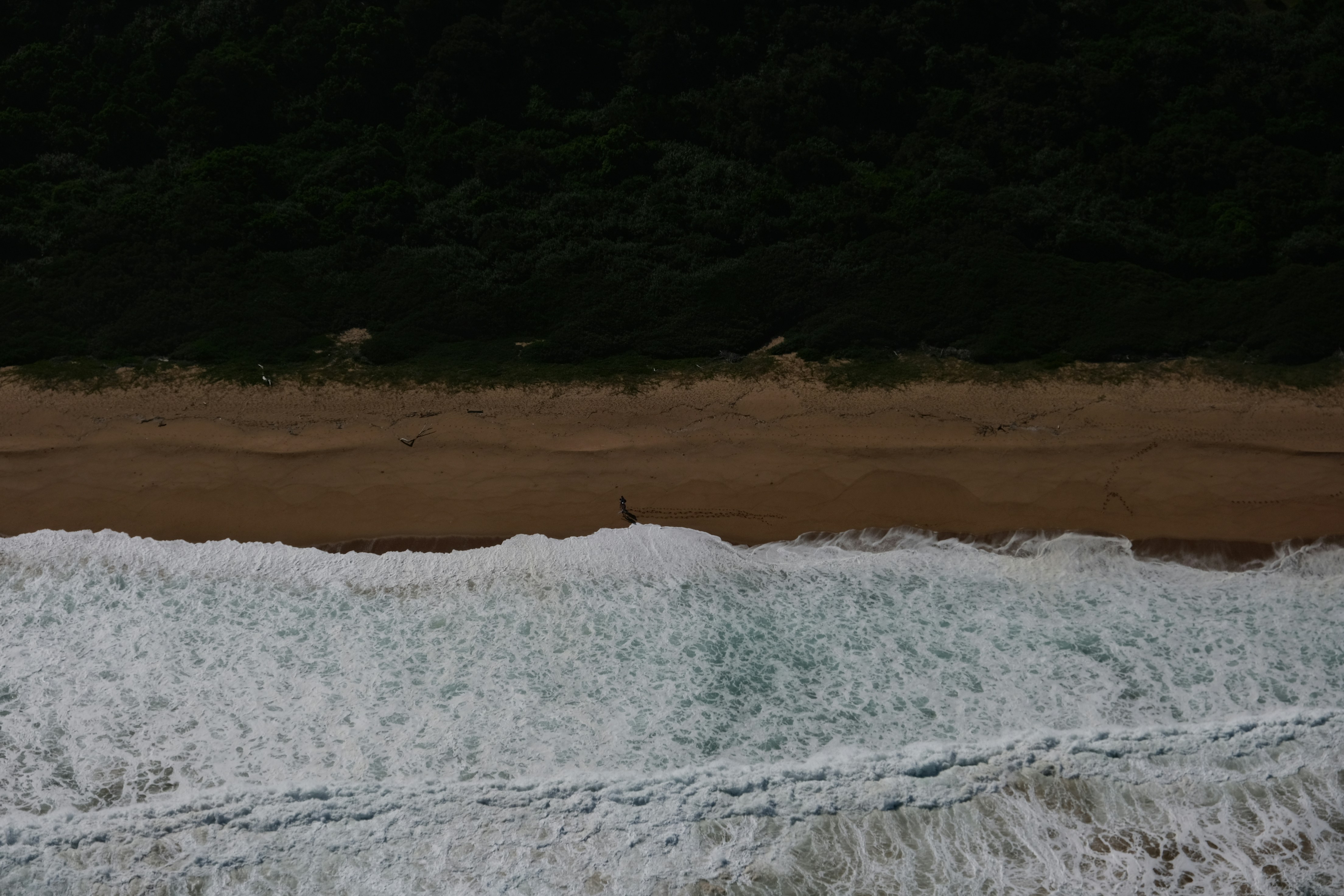Lone silhouette on the beach ribbon between forest and surf
