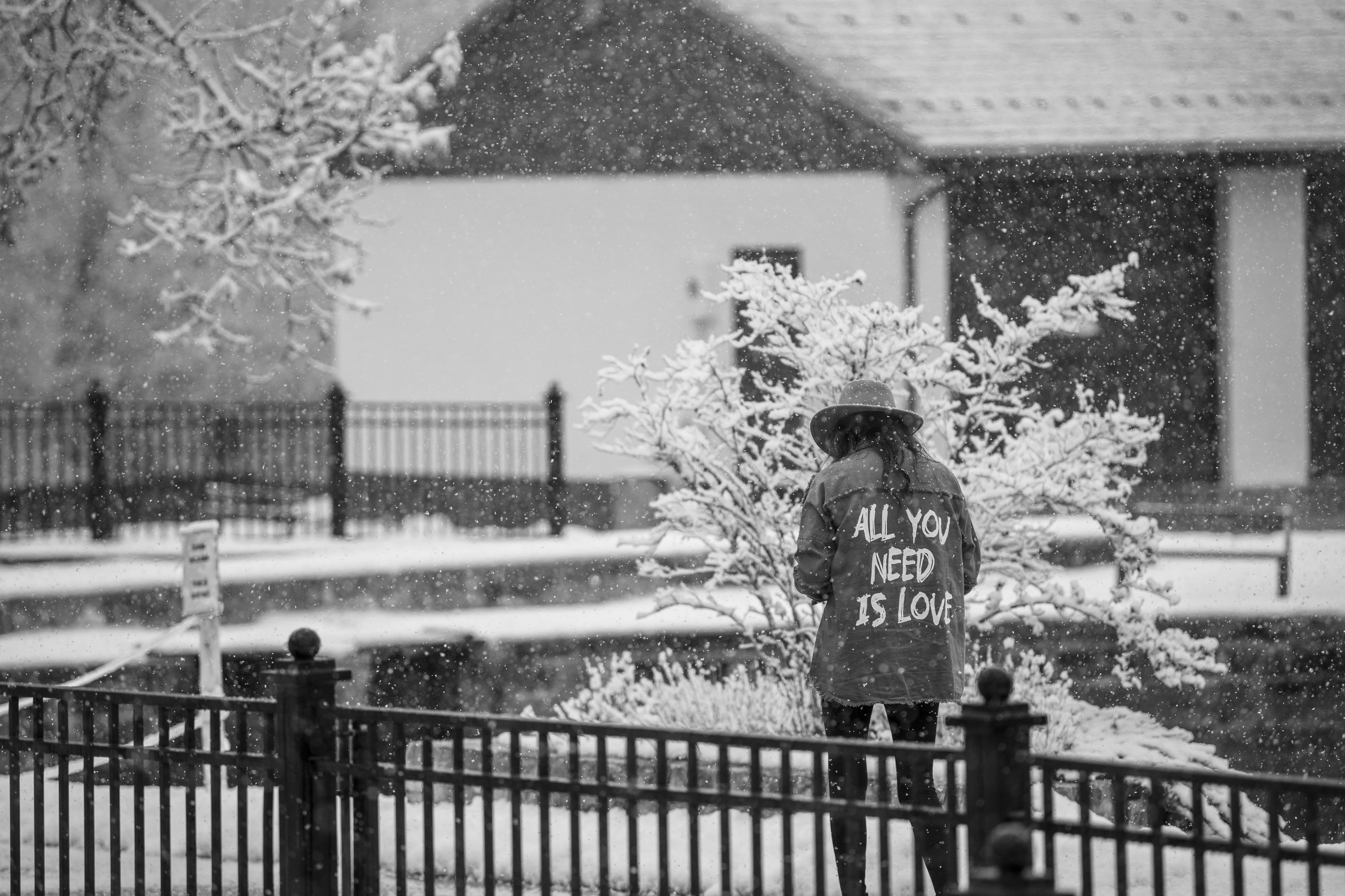 Love in the Snow: A Jacket Message in Quiet Winter