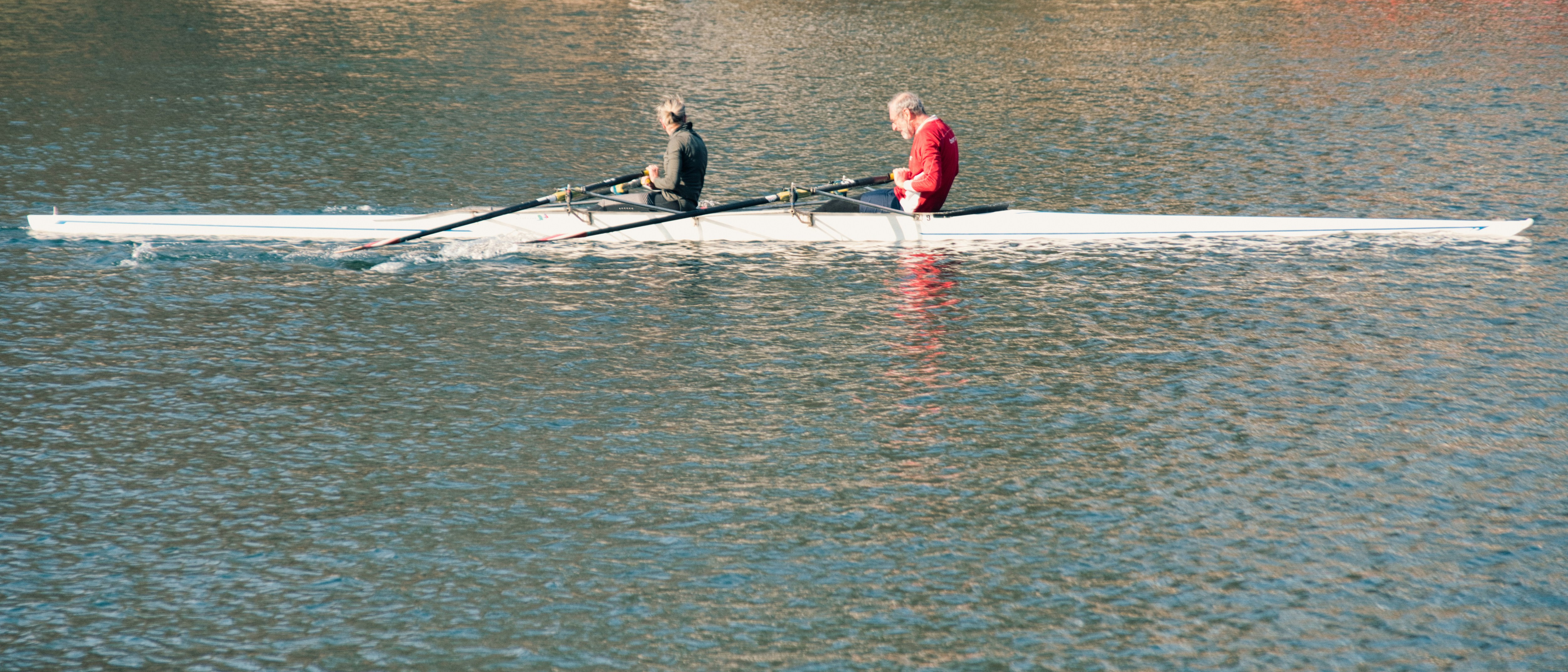 Two men rowing a boat on a body of water photo – Free Turin Image on ...