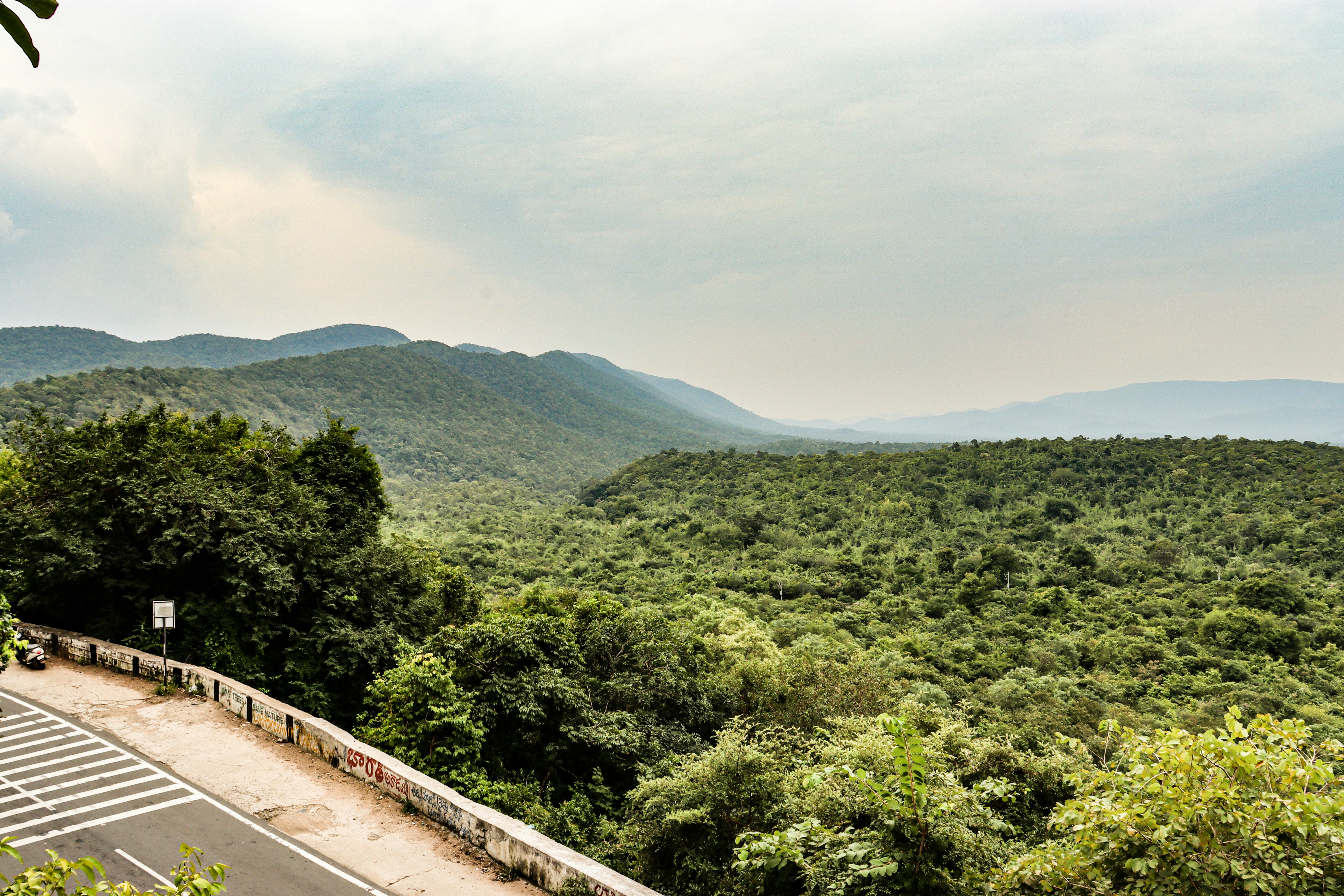 A scenic view of the mountains and trees photo – Free Nallamala hills ...