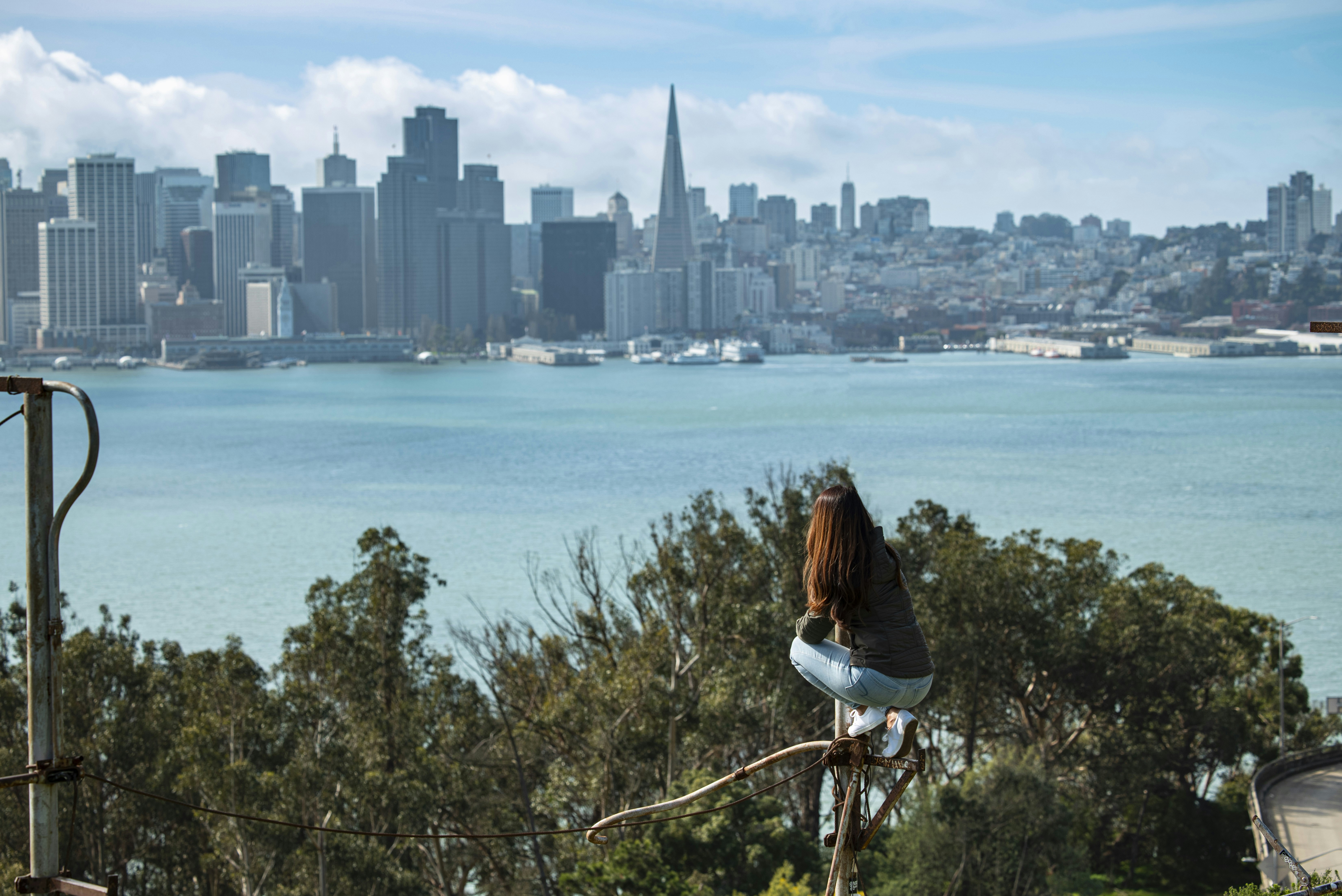 Hawk perched on a branch overlooking a city skyline across a calm bay under a clear blue sky.