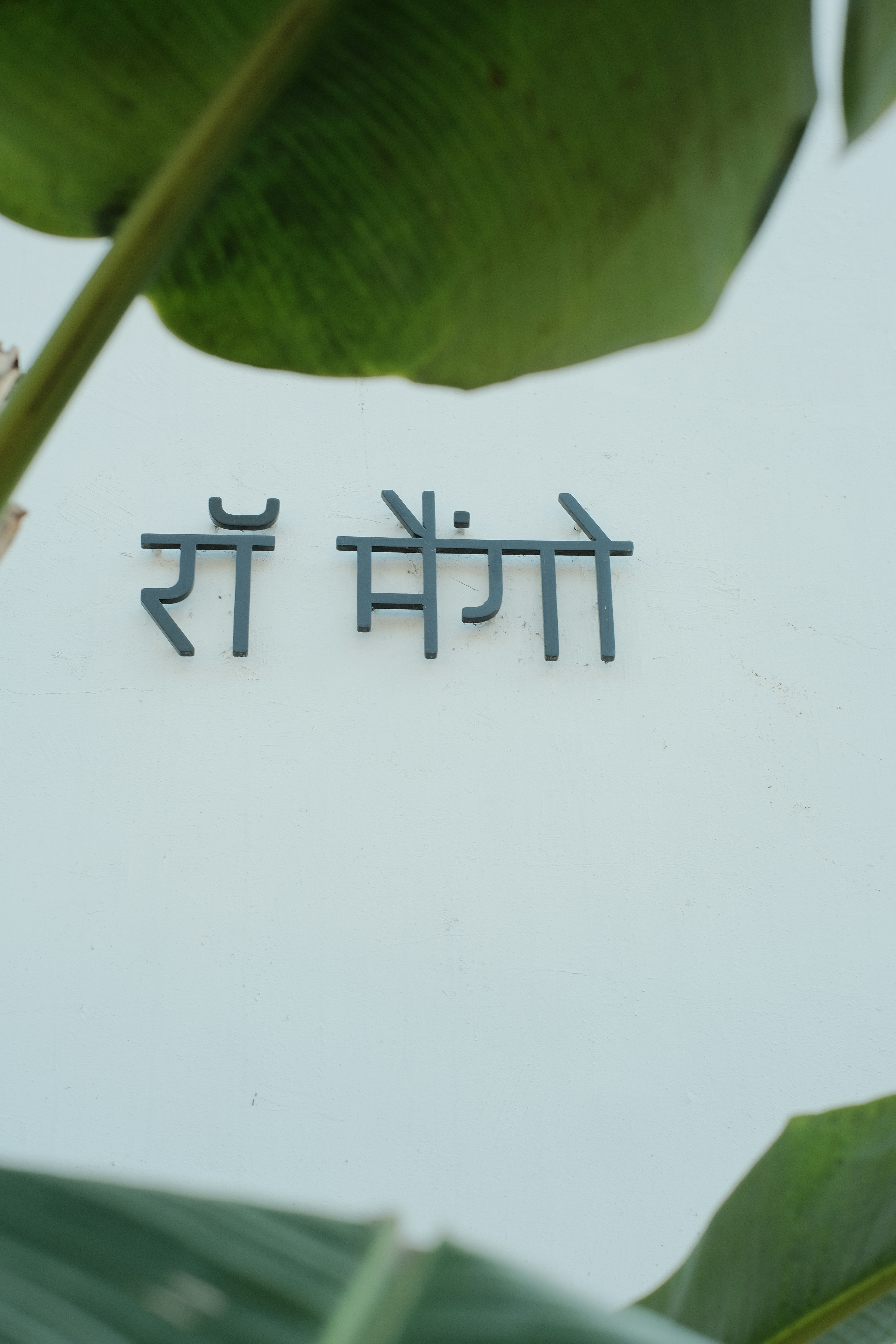 Stylized text on a white wall partially obscured by lush green leaves, suggesting a serene atmosphere. The text adds an element of cultural significance.
