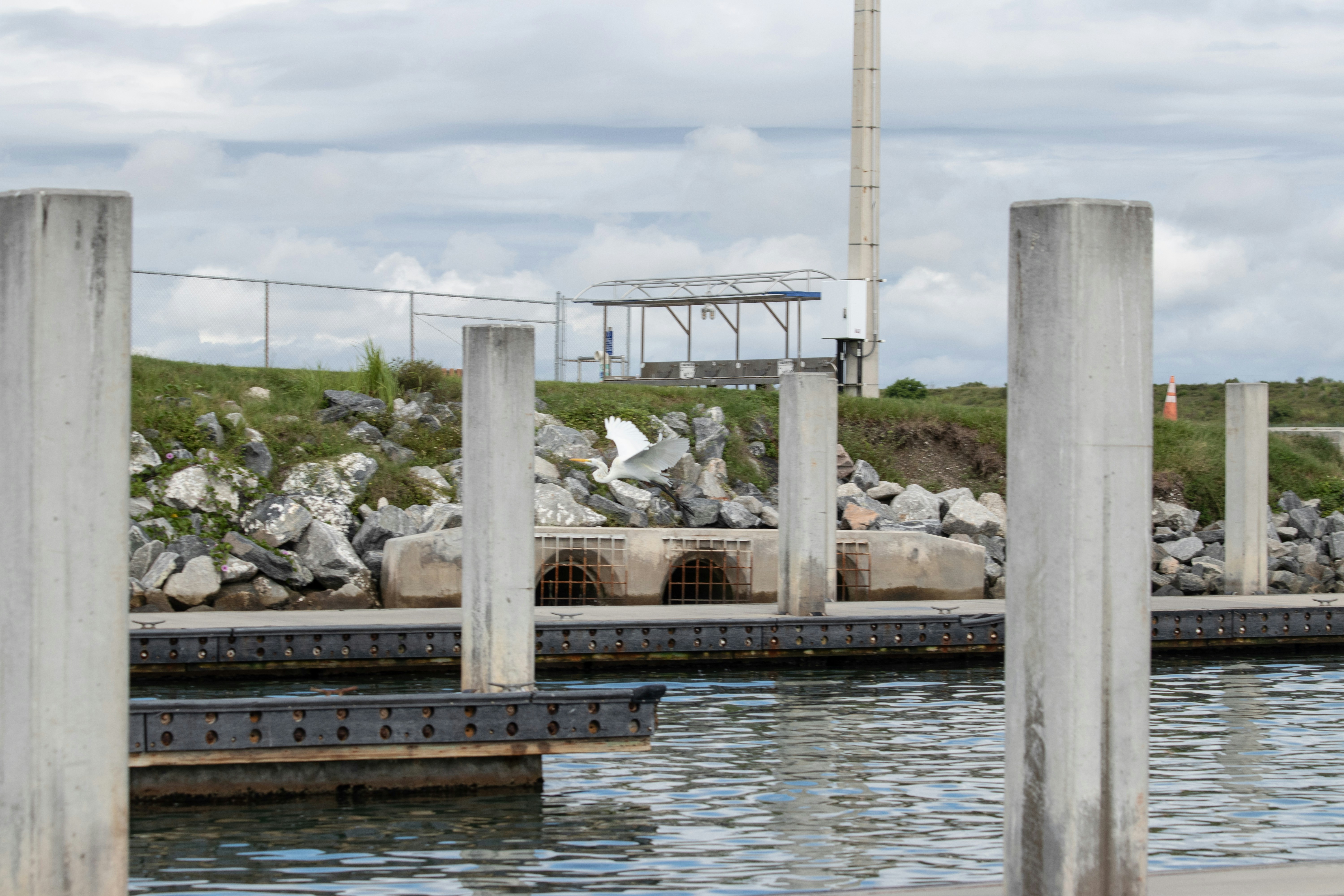 There is a bird that is flying over the water photo – Free Waterfront ...
