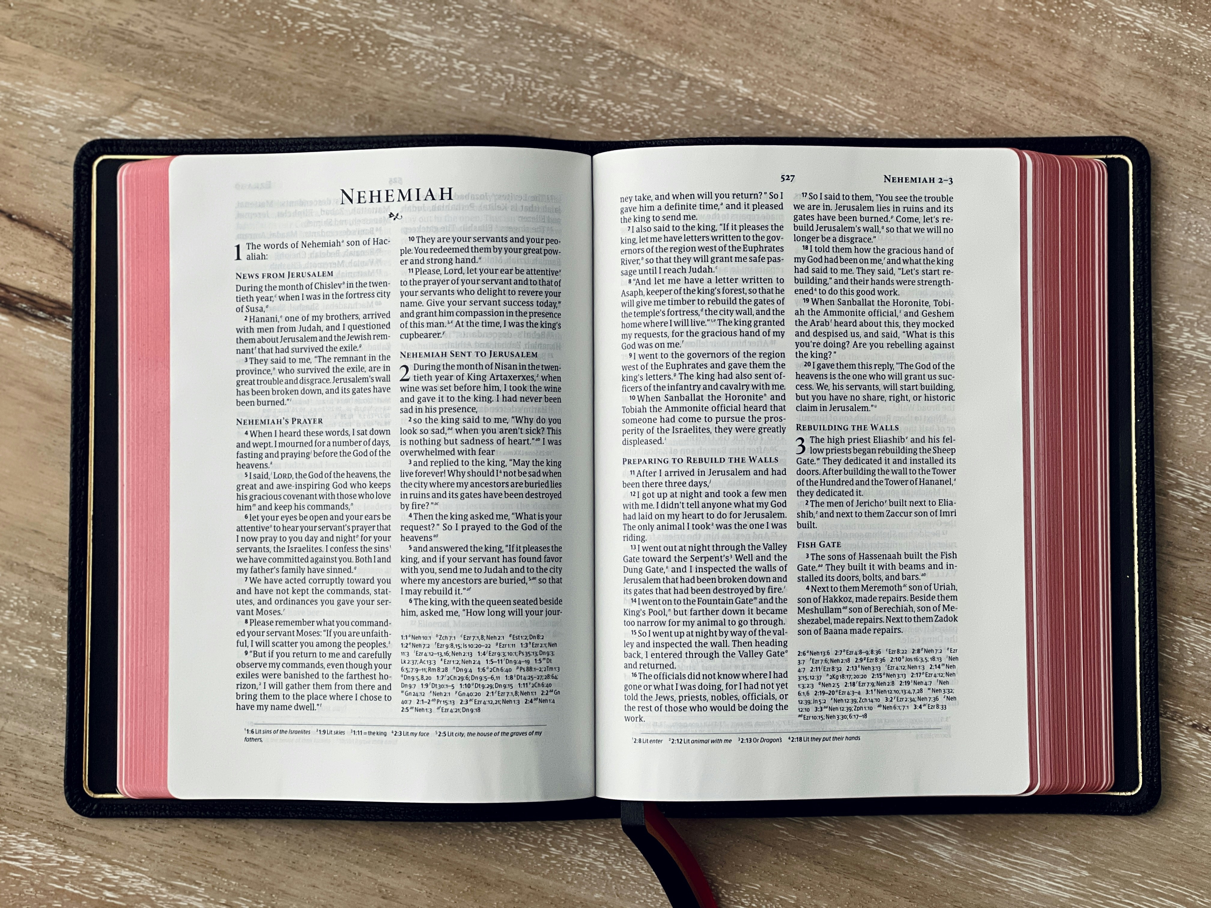 The Book of Nehemiah: Wisdom for Leadership, Perseverance, and ...