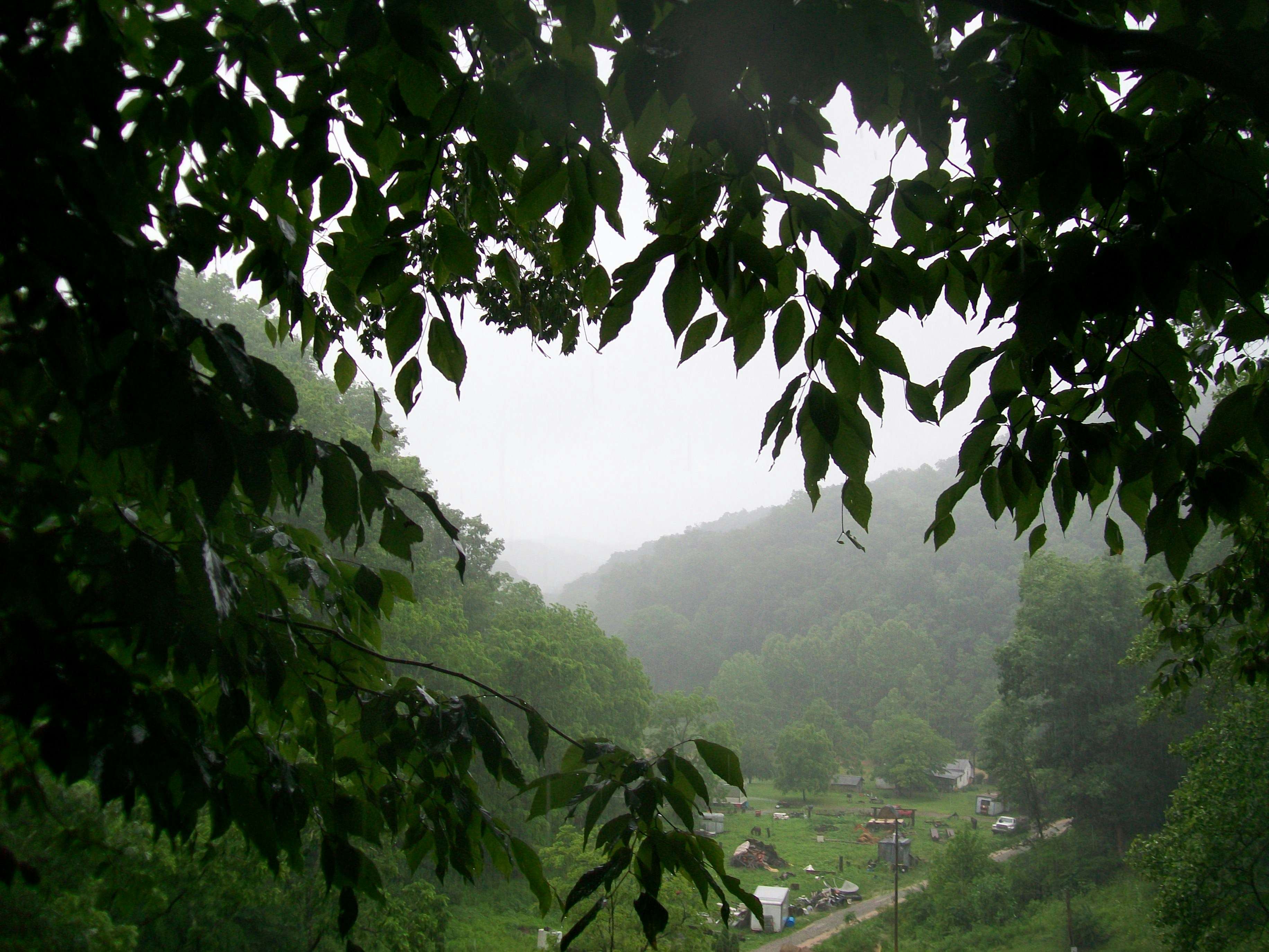 Ashley Starkey (@brighteyes1570) | Komunitas Foto Unsplash