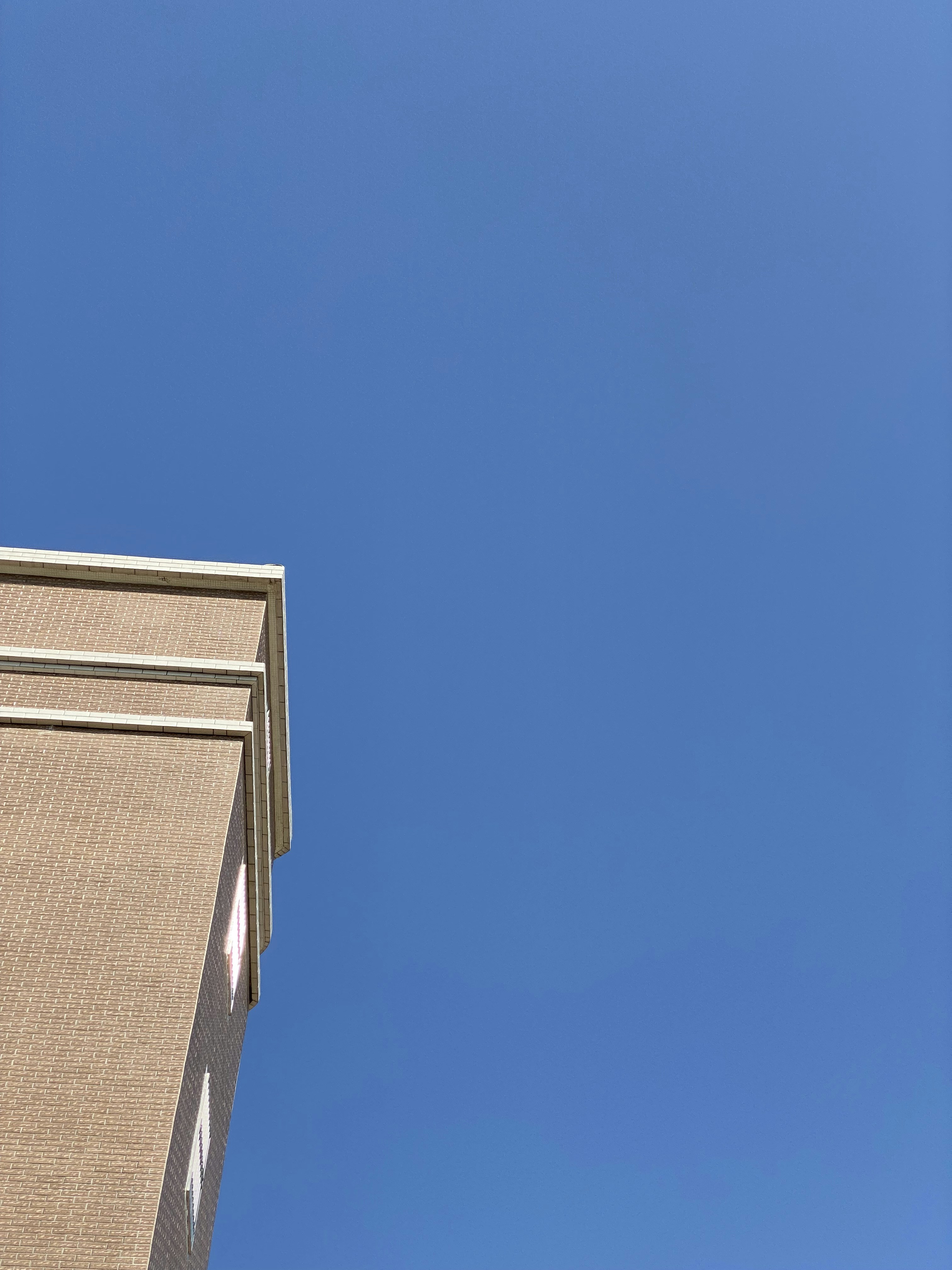 Photo by JADE CHAN with Apple iPhone 11 Pro Max