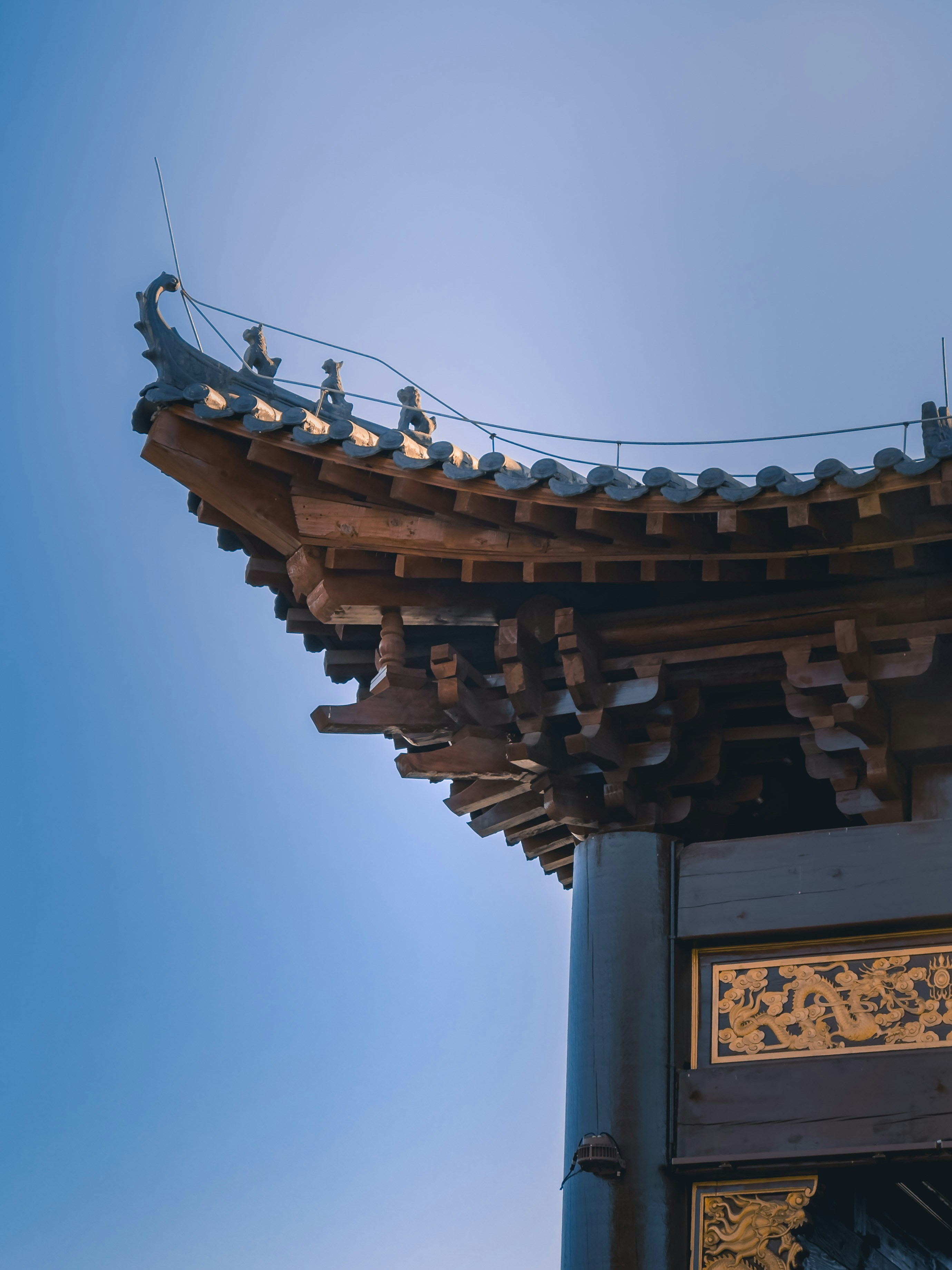 Photo by wang binghua with Apple iPhone 14 Pro Max