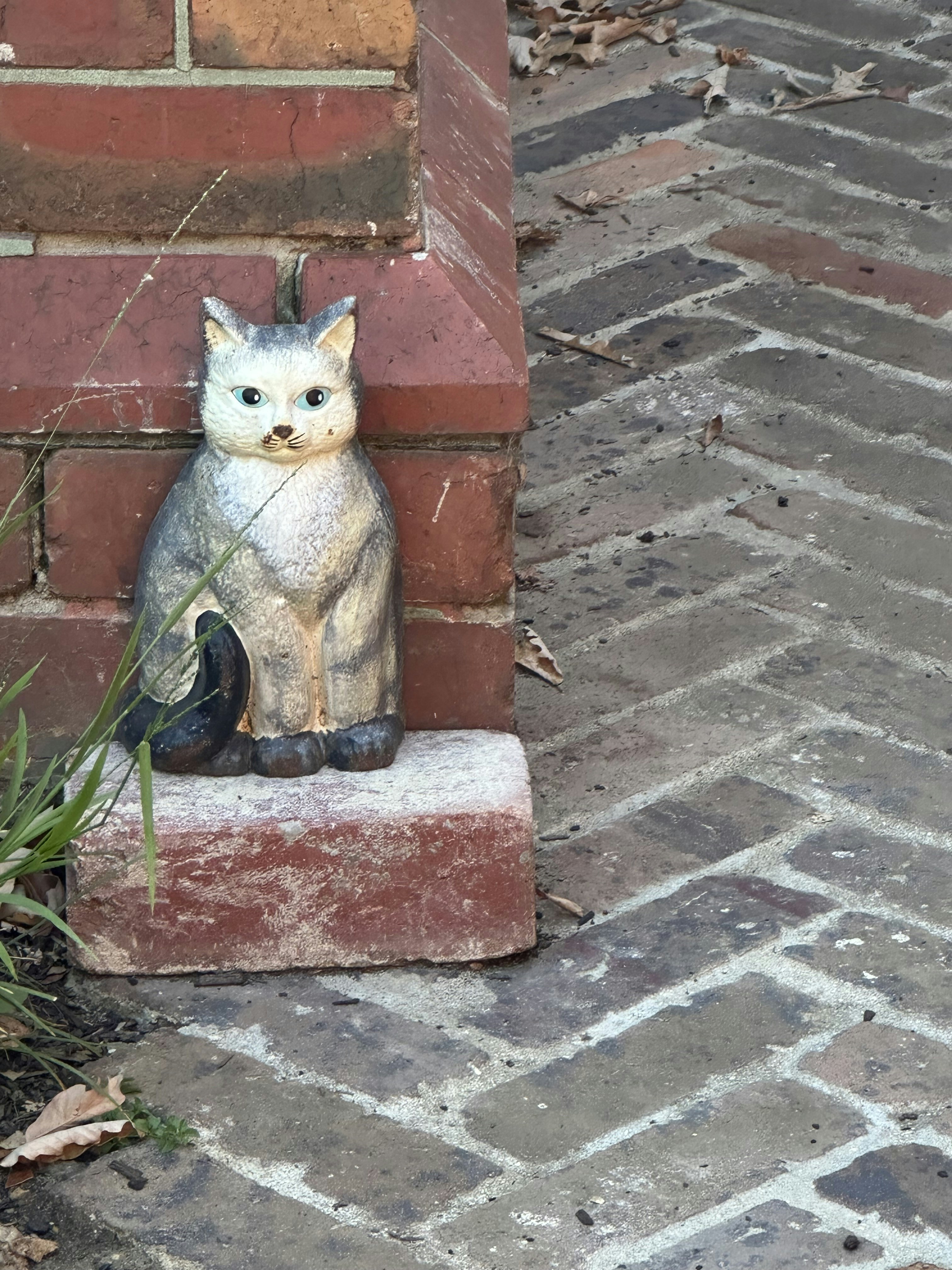 Whiskered Sentinel at the Red Brick Threshold