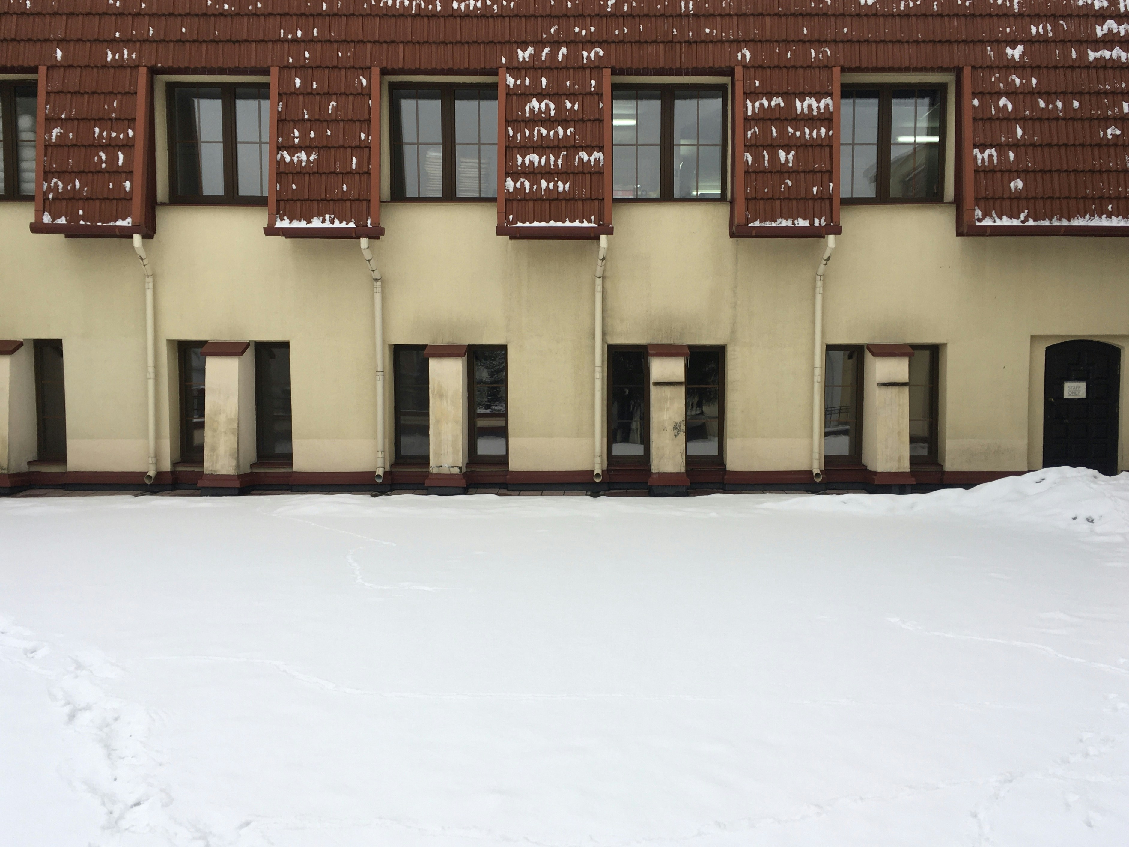 Winter Silence Against Urban Facades