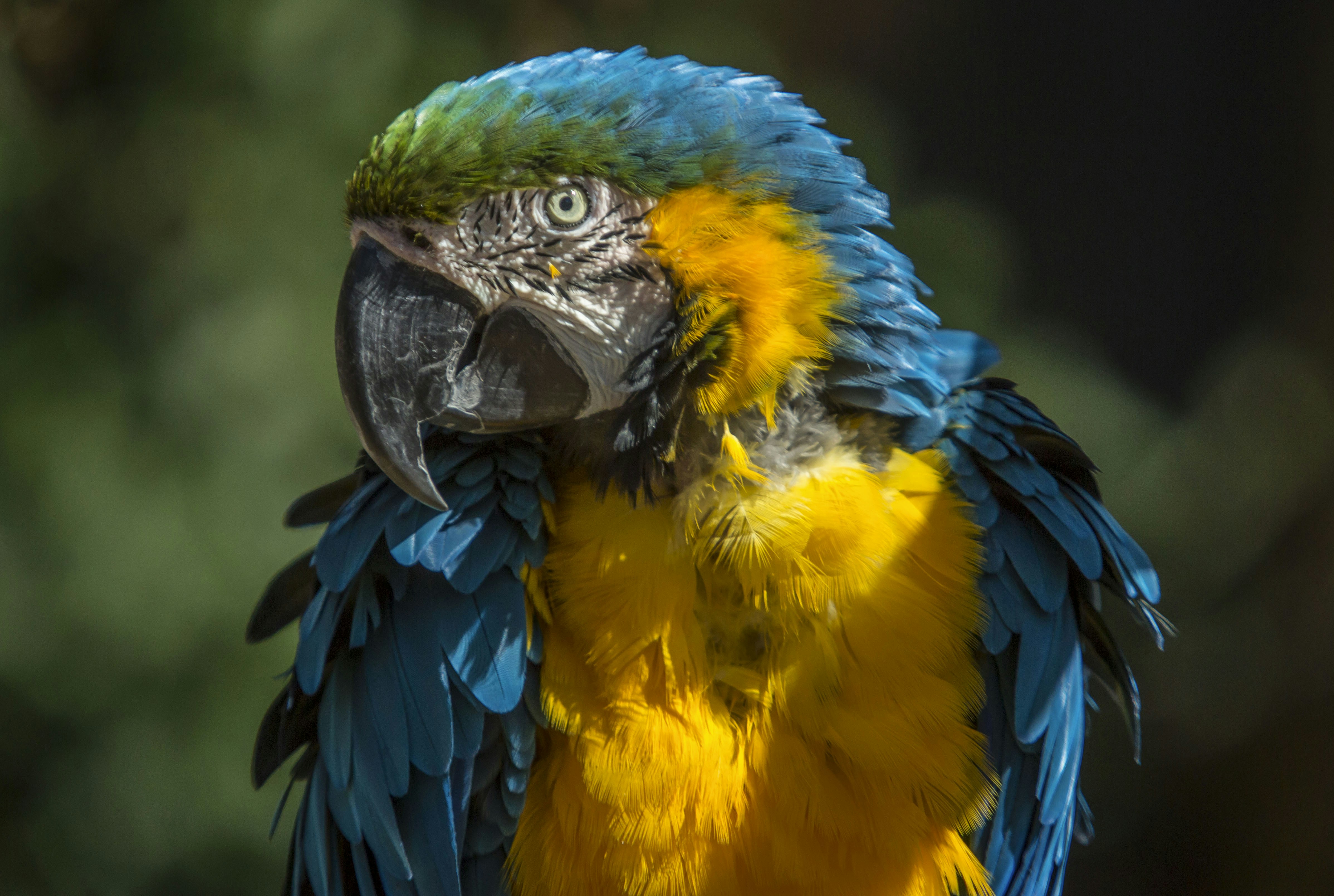 Photo by Leo_Visions with Canon EOS 5D Mark III