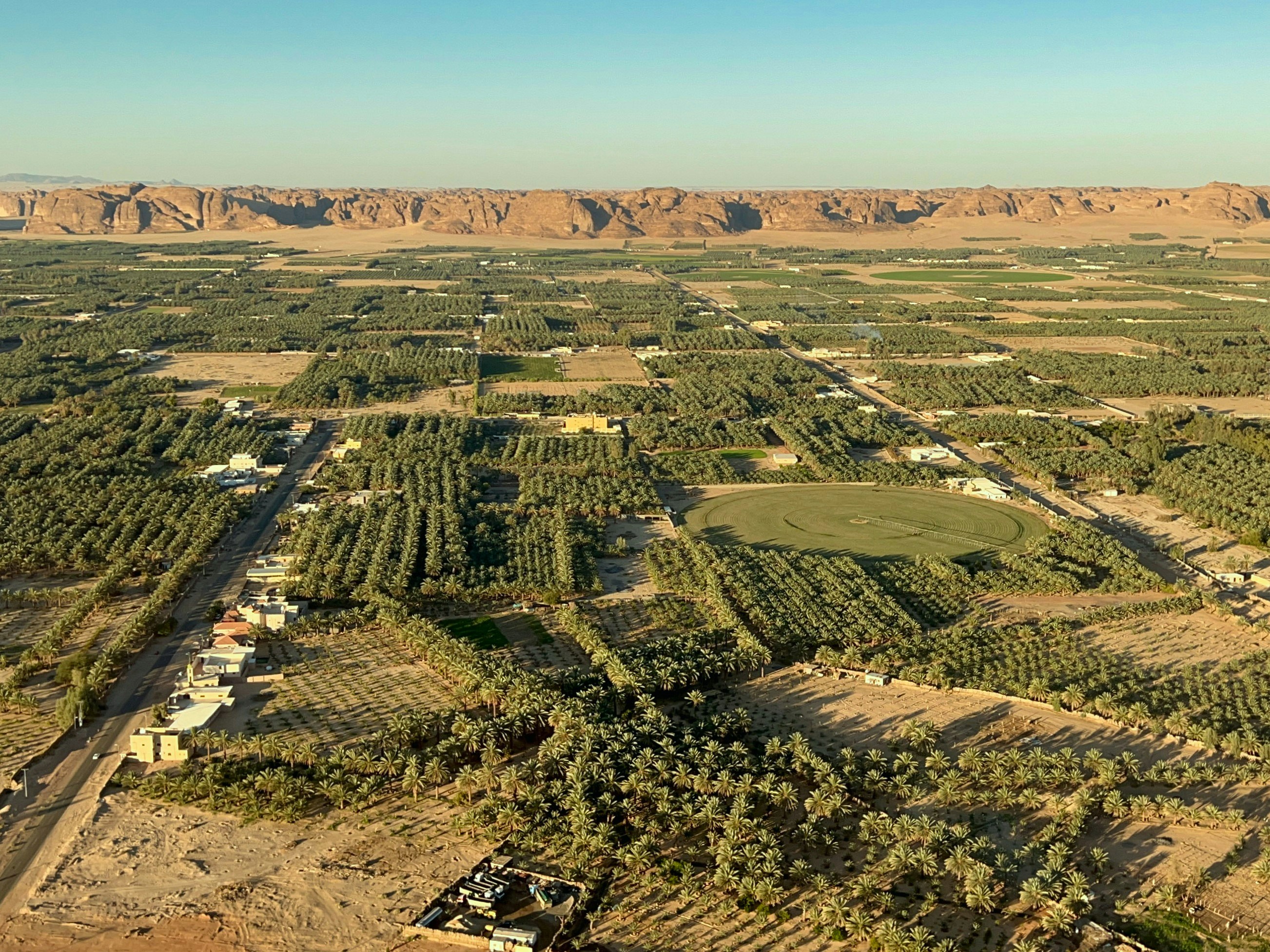 A stunning shot of the palm tree fields in AlUla, Saudi Arabia