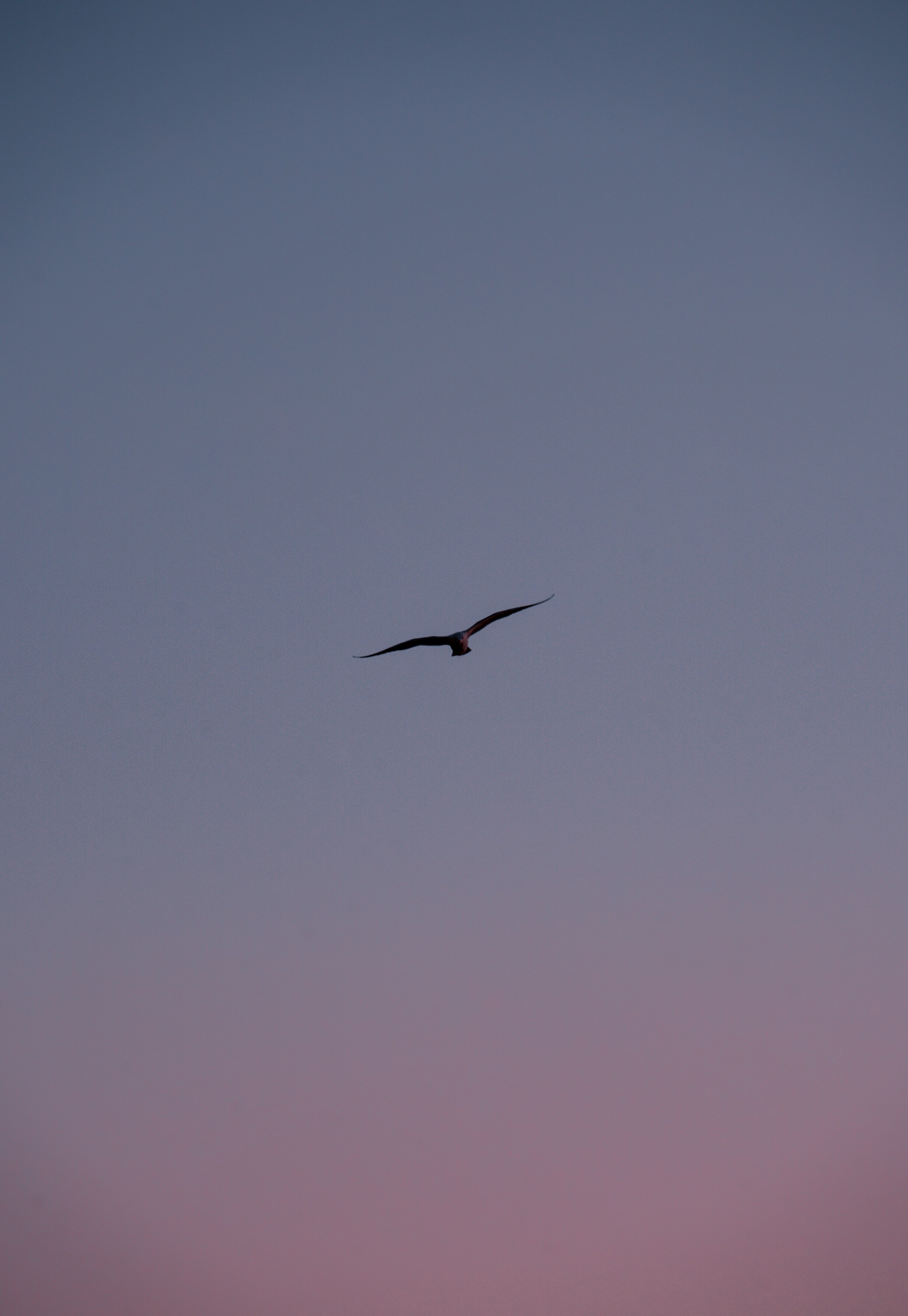 Motoki Tonn (@motoki) | Unsplash 사진 커뮤니티