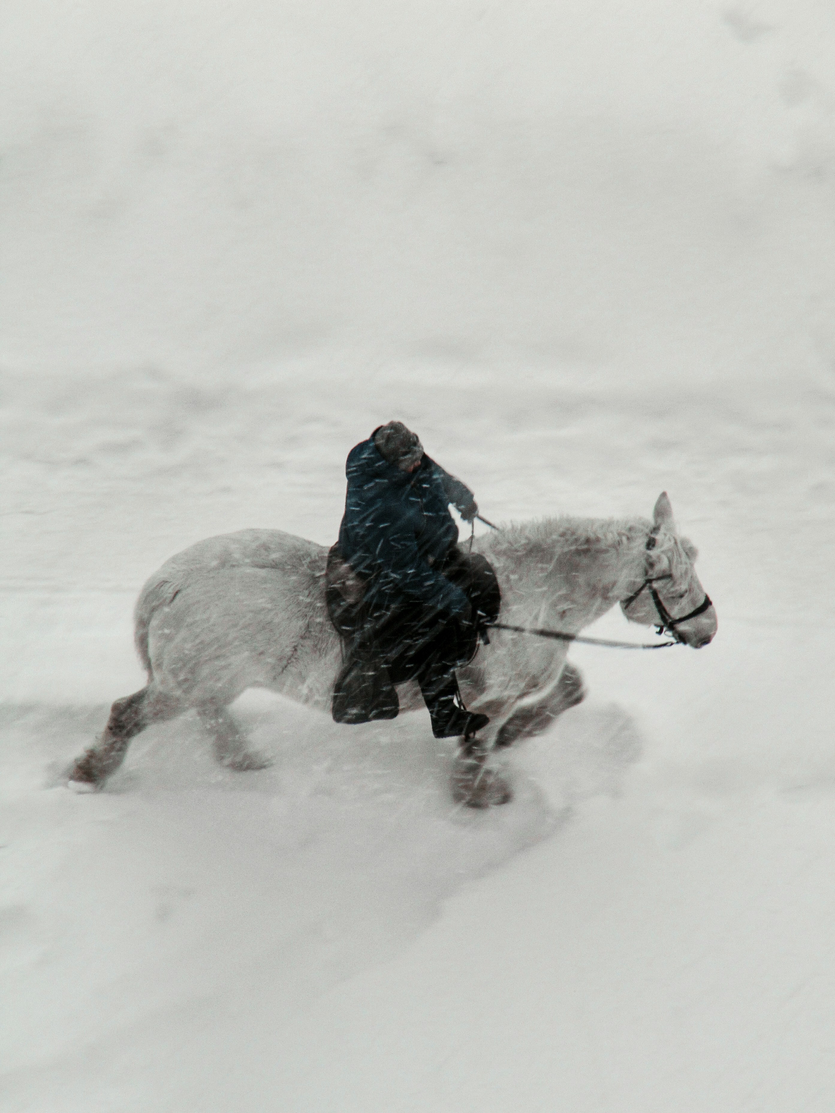 A rider on a white horse navigates through a snowy landscape, shrouded in a flurry of snowflakes. The scene captures the essence of winter's embrace.